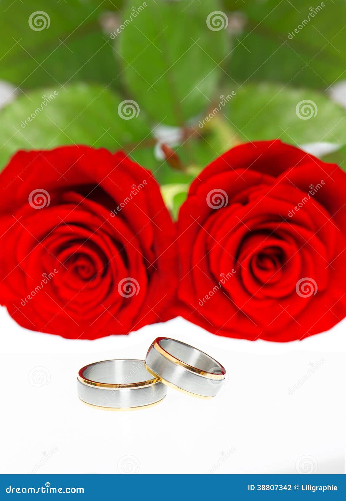 Wedding Rings and Red Roses Stock Photo - Image of celebration, jewelry ...