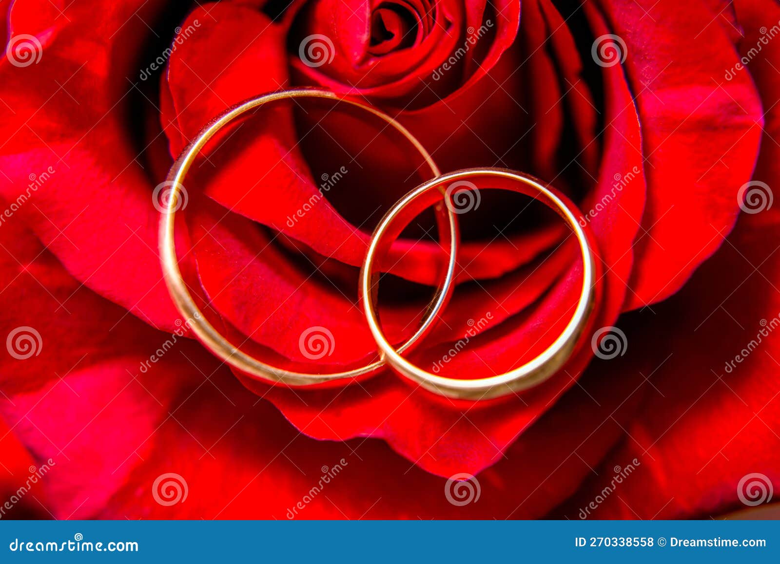 Wedding Rings and Red Roses Stock Photo - Image of beads, jewelry ...