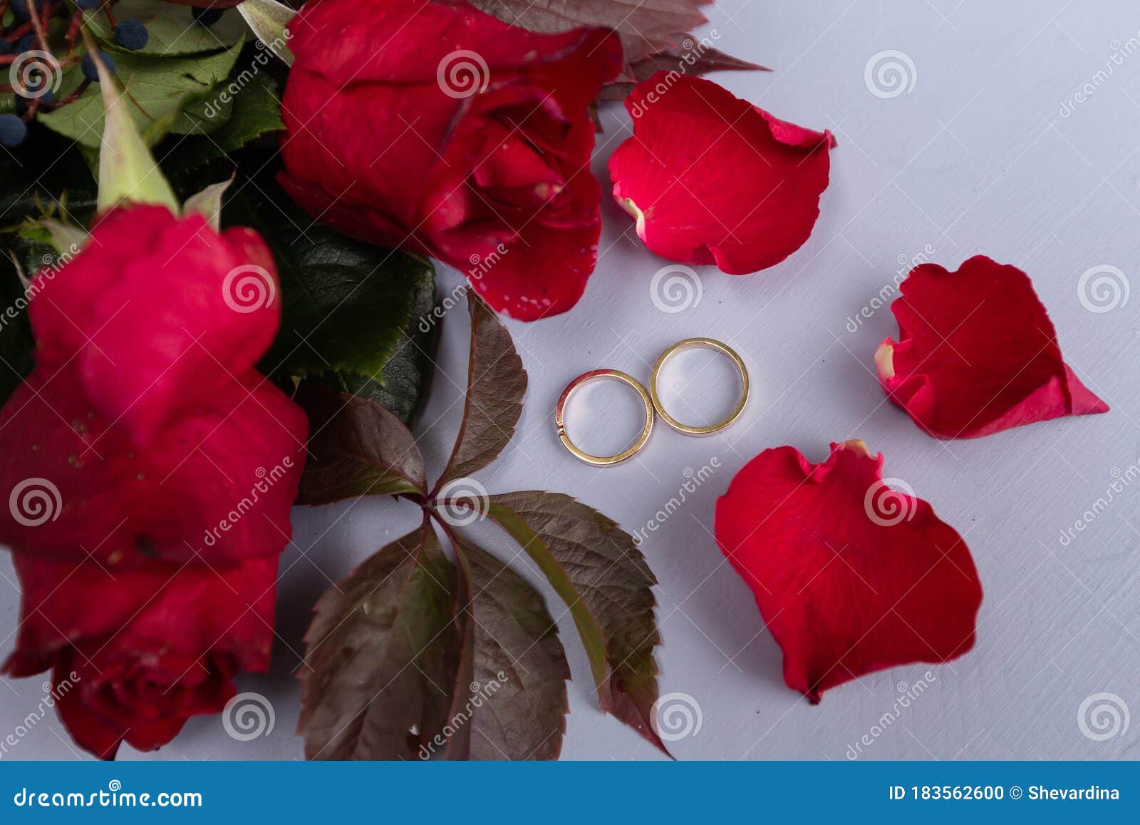 Wedding Rings and Red Roses Stock Photo - Image of closeup, honeymoon ...