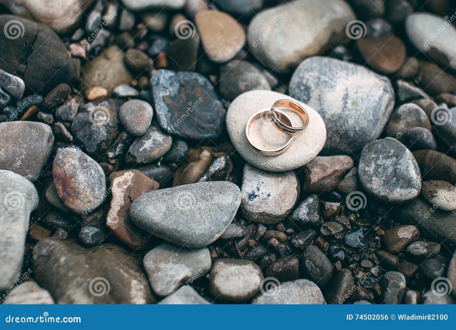 Wedding rings on the rocks stock photo. Image of celebration - 74502056