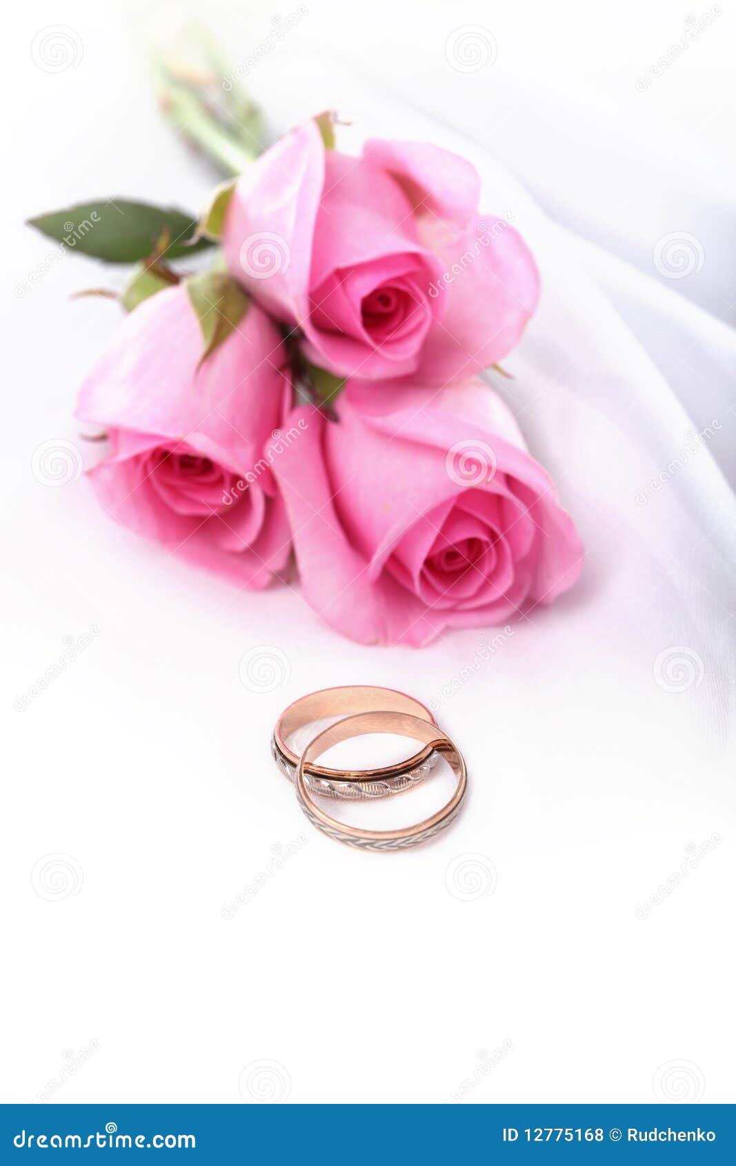 Wedding rings and roses stock photo. Image of feeling - 12775168