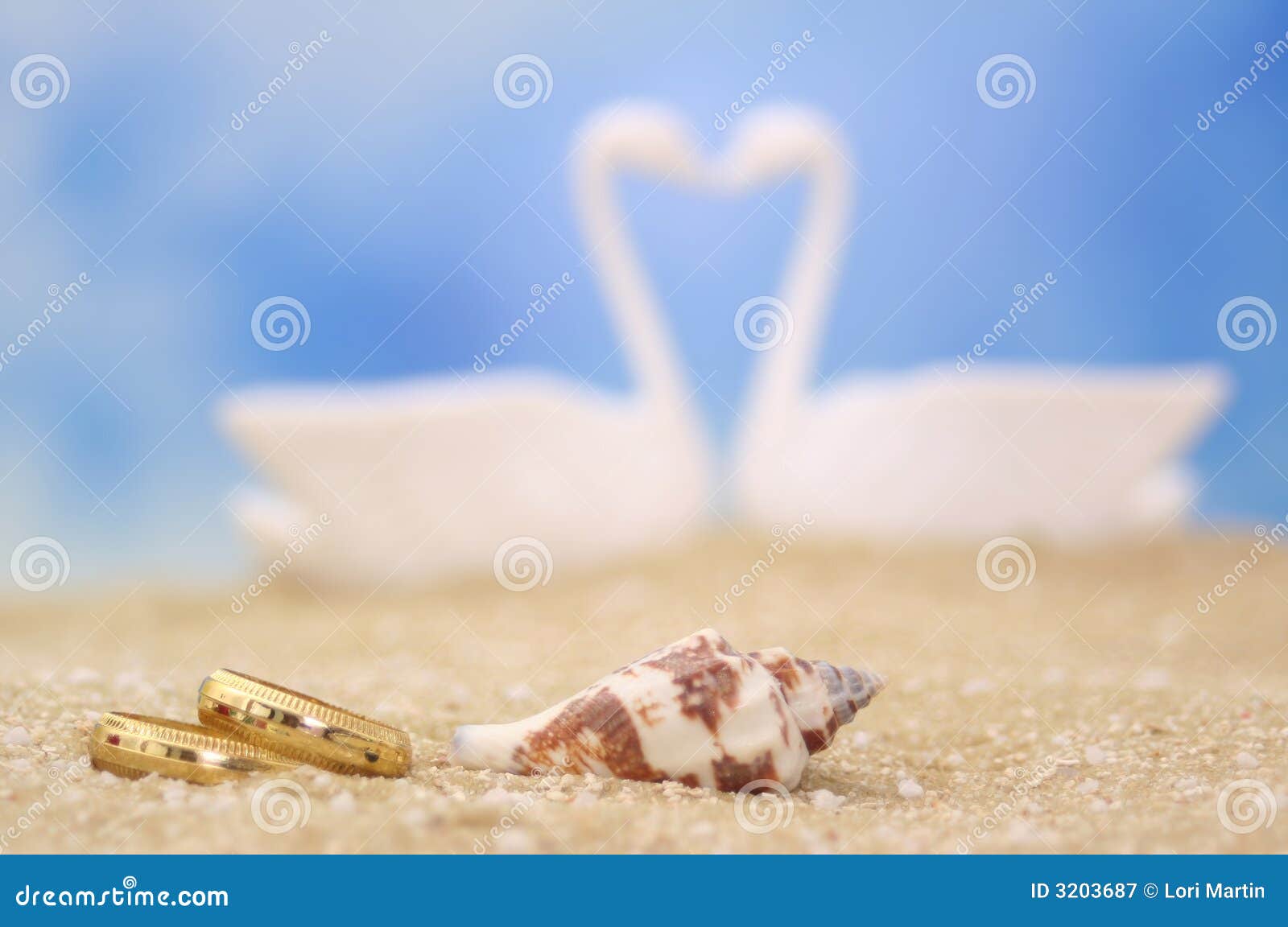 Wedding Rings and Sea Shell Stock Image - Image of getaway, couple: 3203687