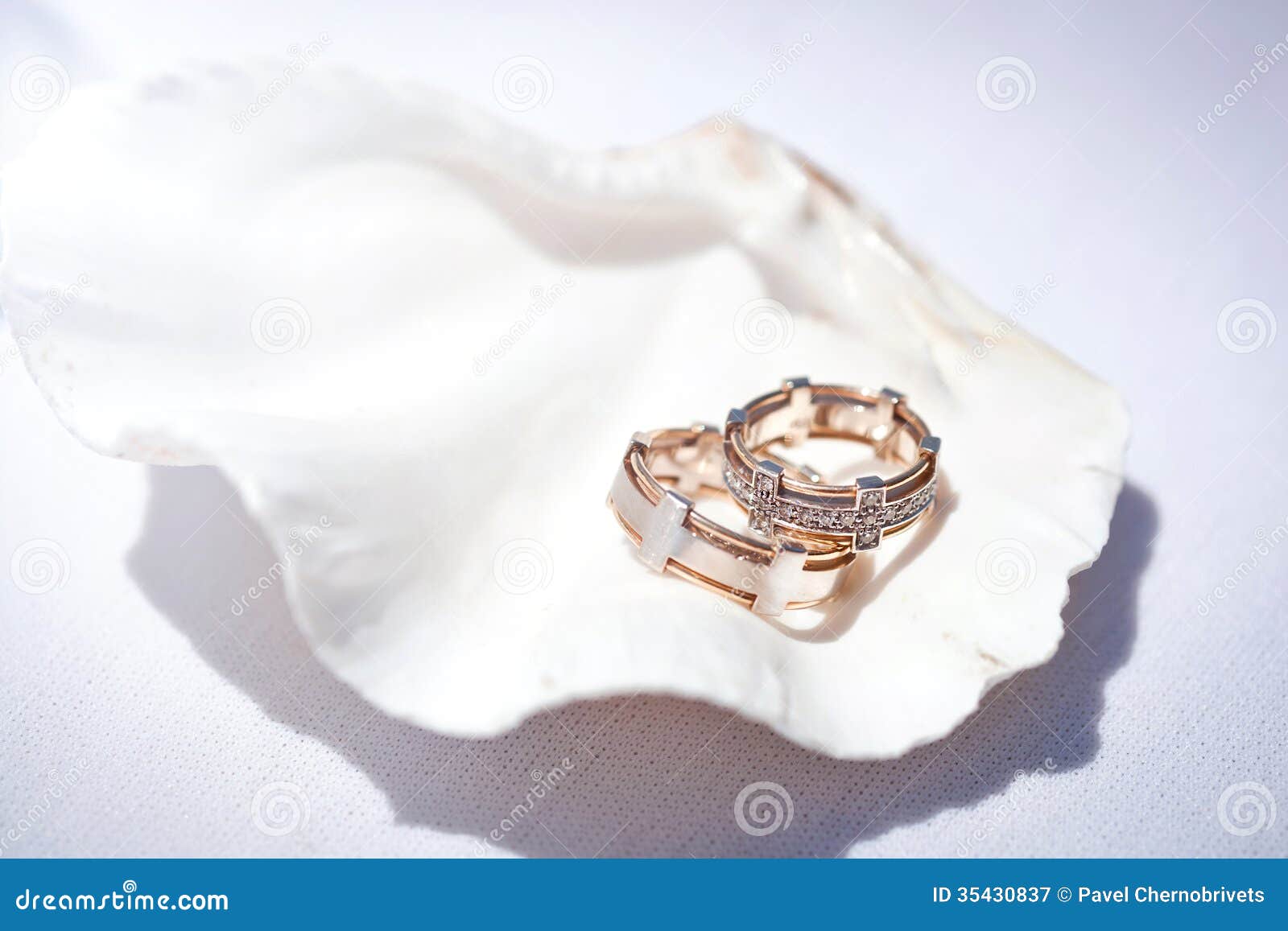 Wedding rings in seashell stock image. Image of forever - 35430837
