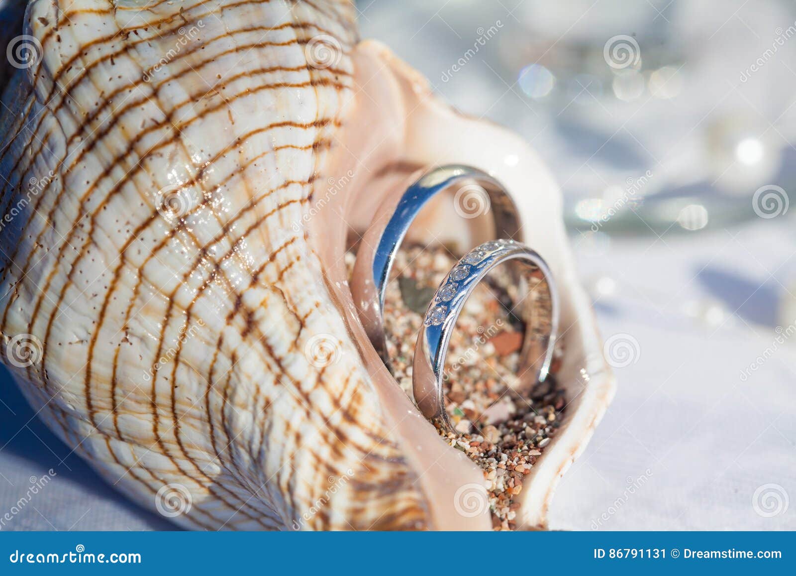 Wedding Rings in the Seashells for Marine Ceremony Stock Image - Image ...