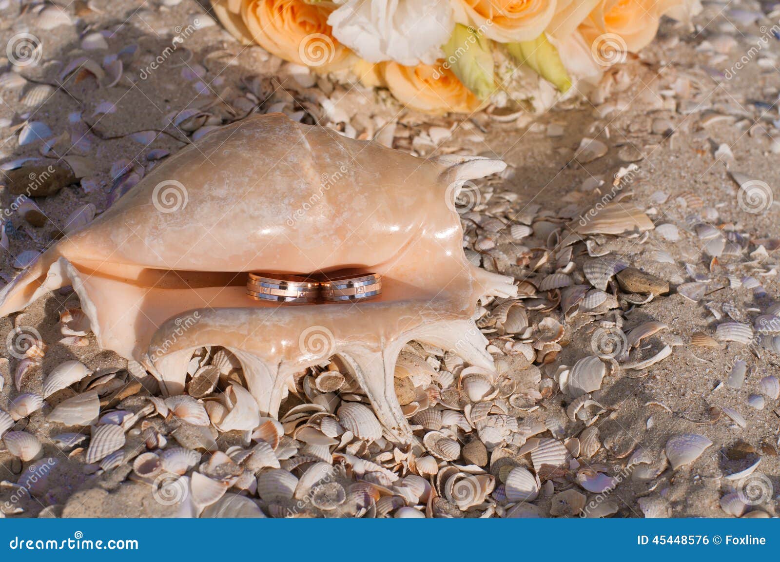 Wedding Rings in a Shell on the Beach Stock Photo - Image of orchid ...