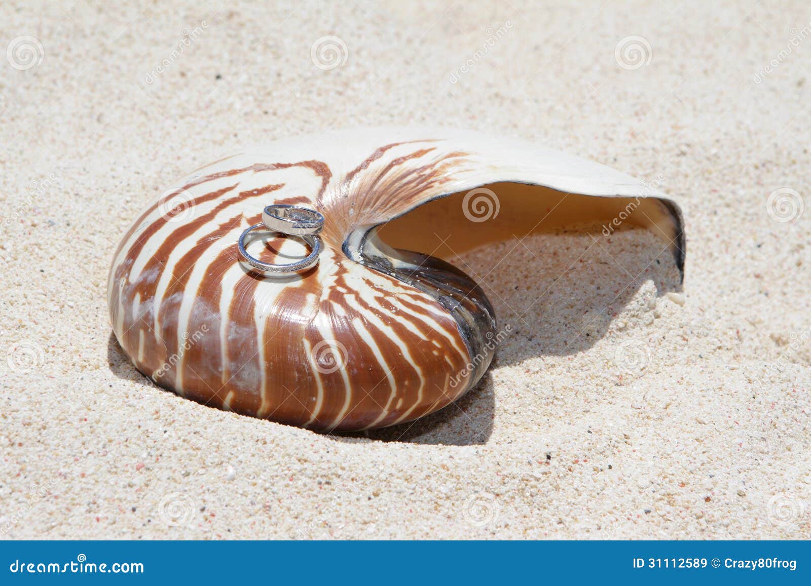 Wedding Rings on a Shell on Beach Stock Image - Image of married ...