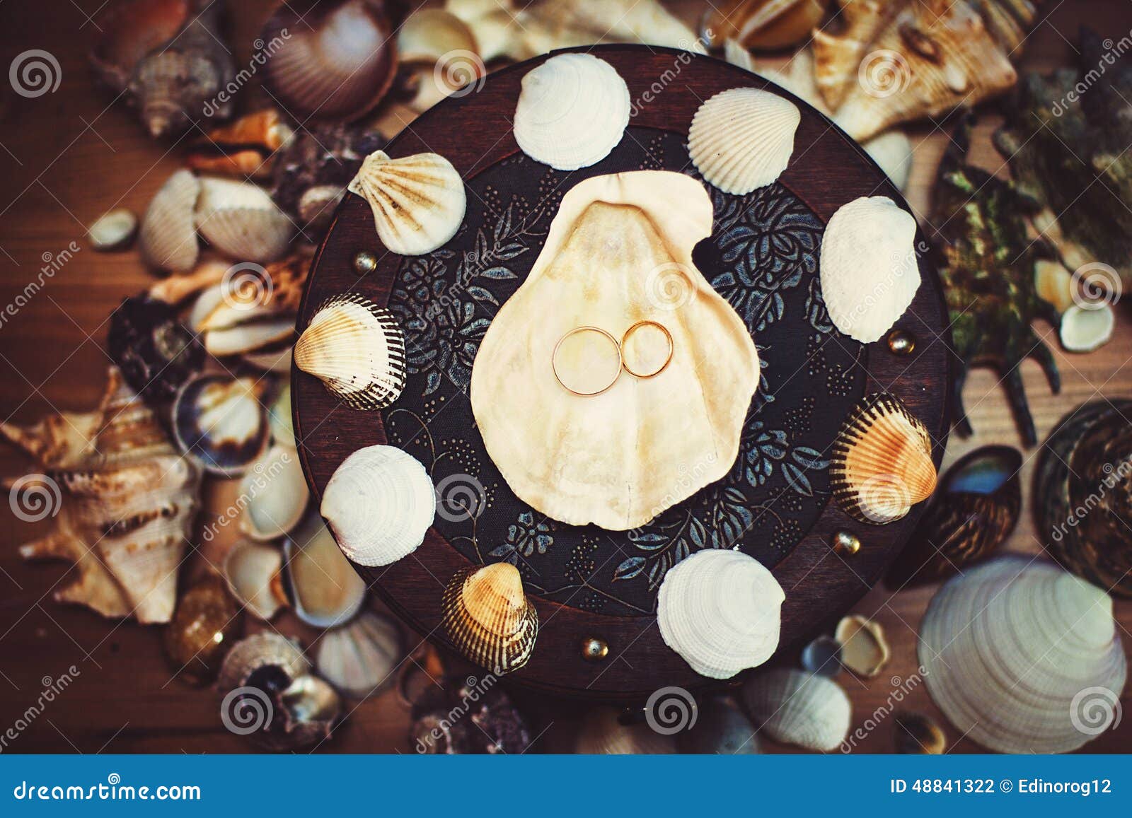 Wedding rings in the shell stock photo. Image of yellow - 48841322