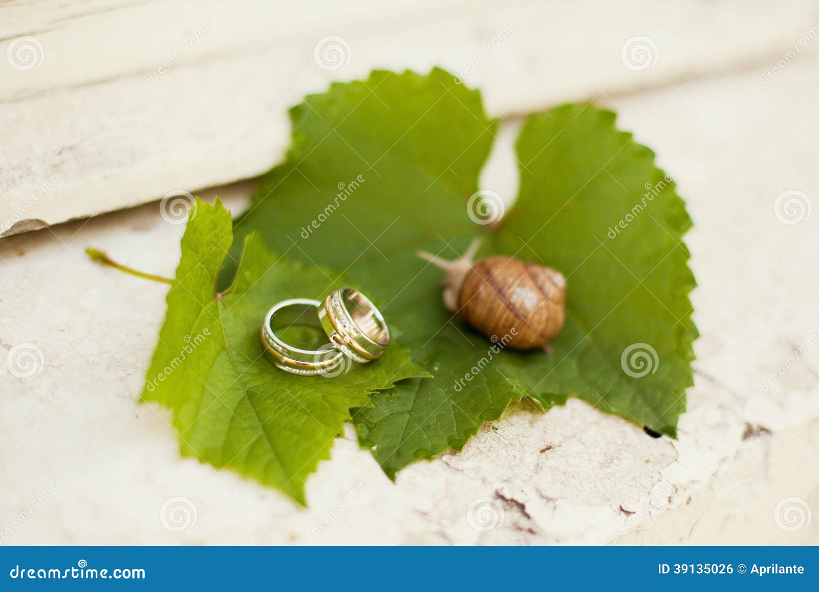 Wedding rings stock photo. Image of diamond, romance - 39135026