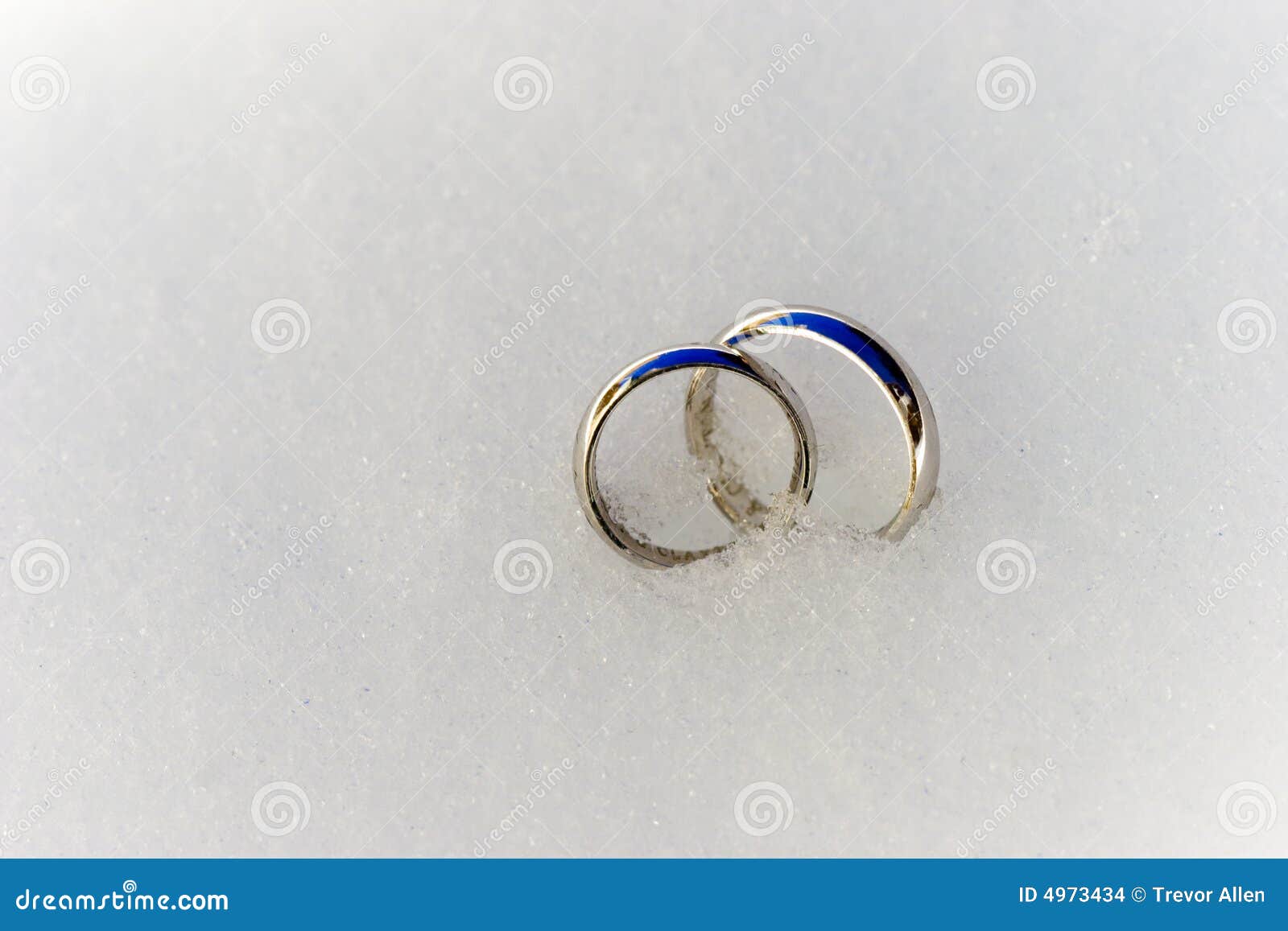 Winter Wedding Rings