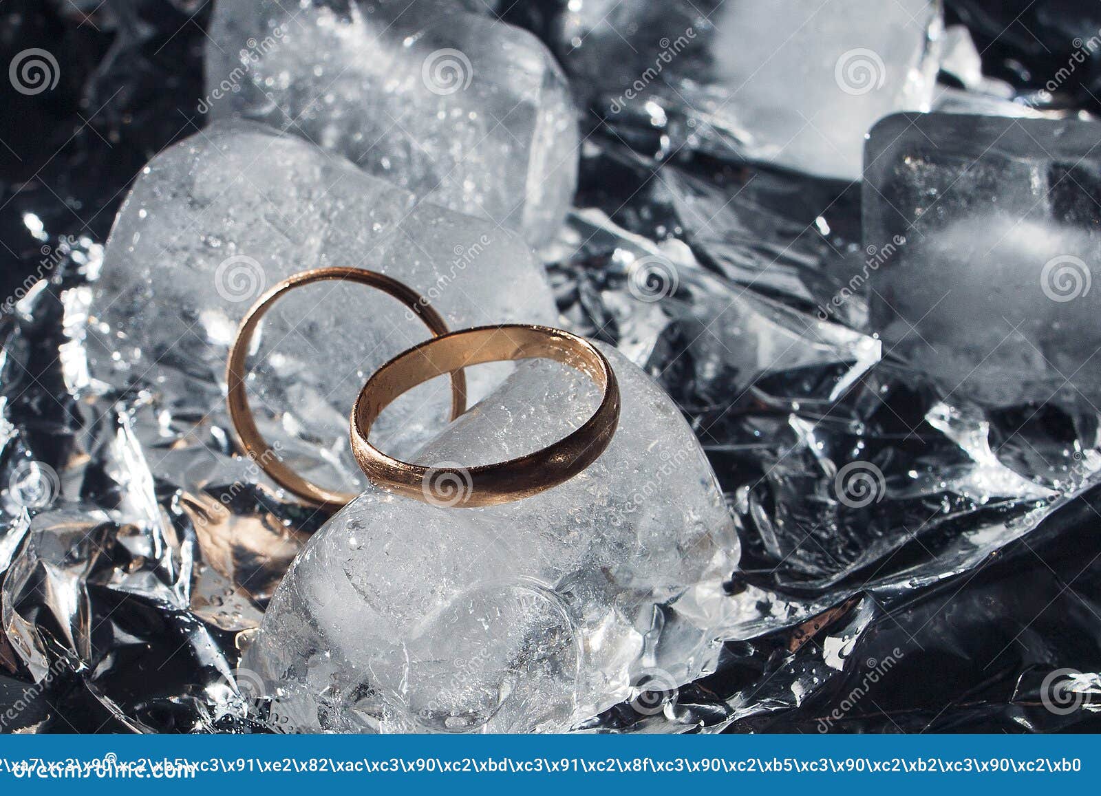 Wedding Rings with Splashes of Water and Pieces of Ice. Wedding Concept ...