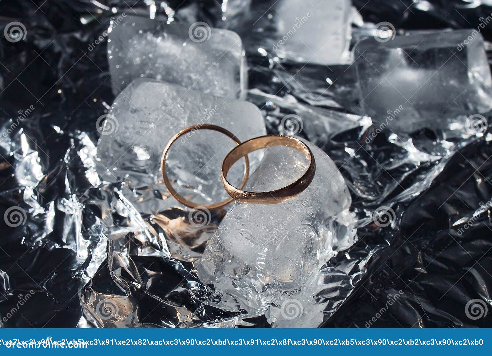 Wedding Rings with Splashes of Water and Pieces of Ice. Wedding Concept ...