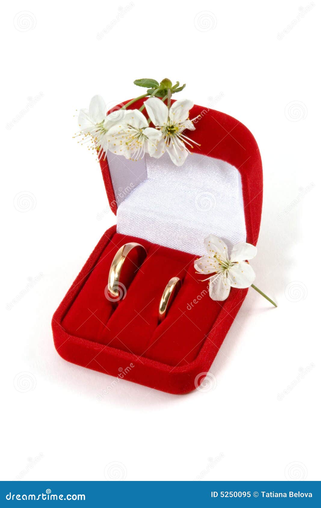 Wedding Rings and Spring Flowers Stock Image - Image of celebration ...
