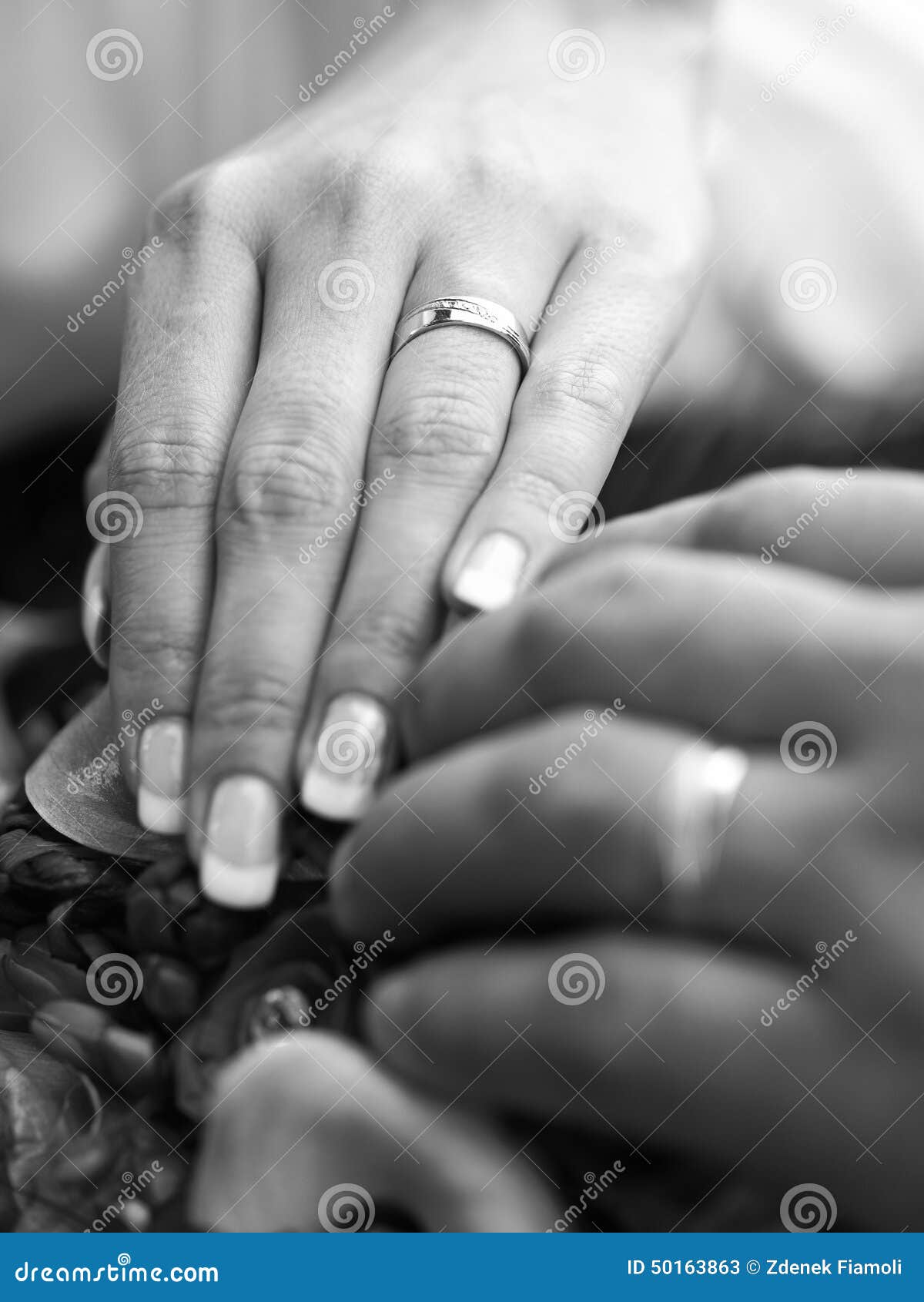 Wedding rings stock image. Image of luxury, card, bridal - 50163863