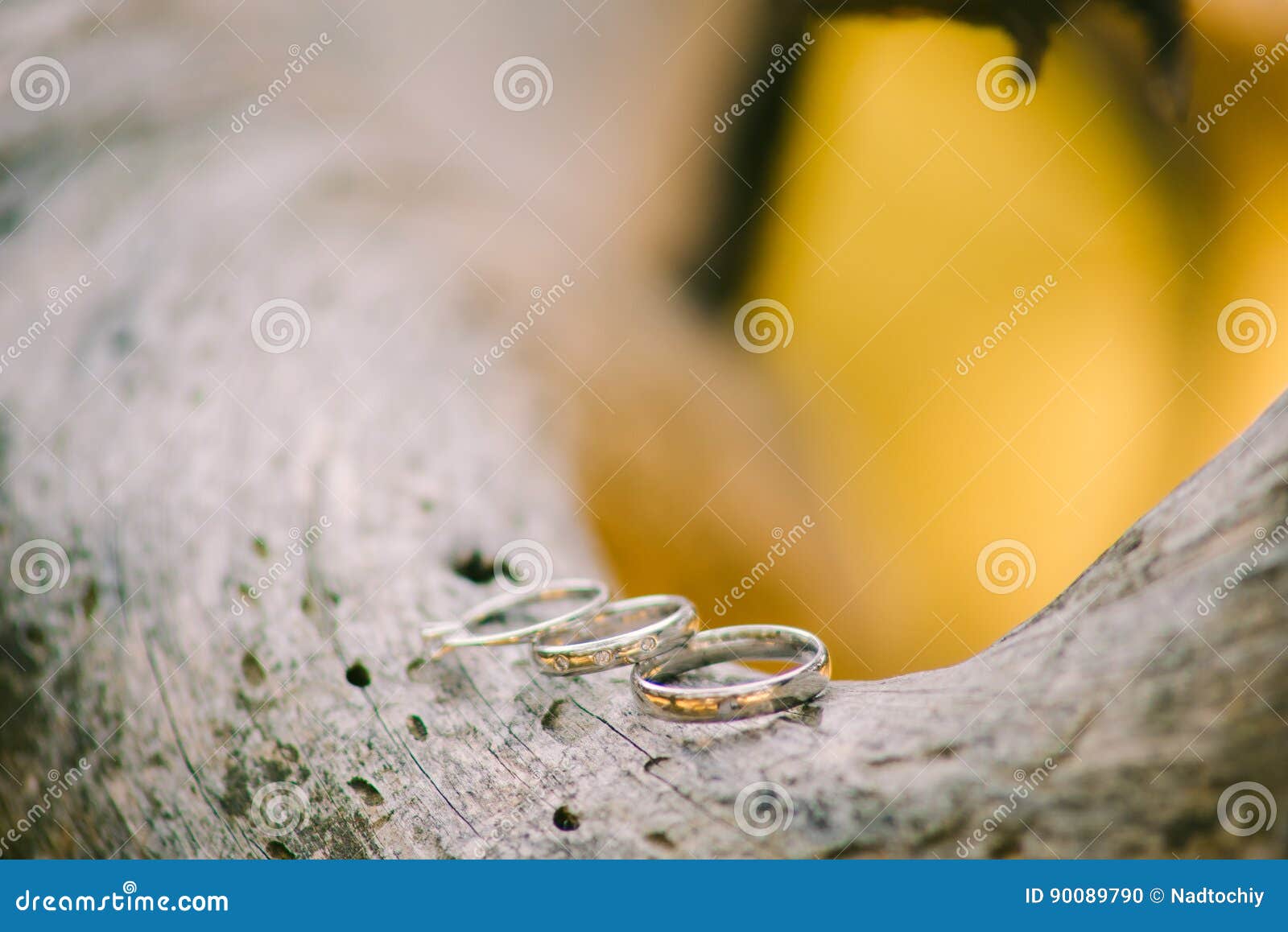 Wedding Rings on a Tree Bark Stock Photo - Image of marriage, bark ...