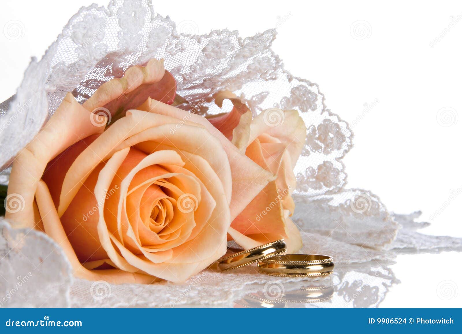 Wedding rings and veil stock photo. Image of pair, romantic - 9906524