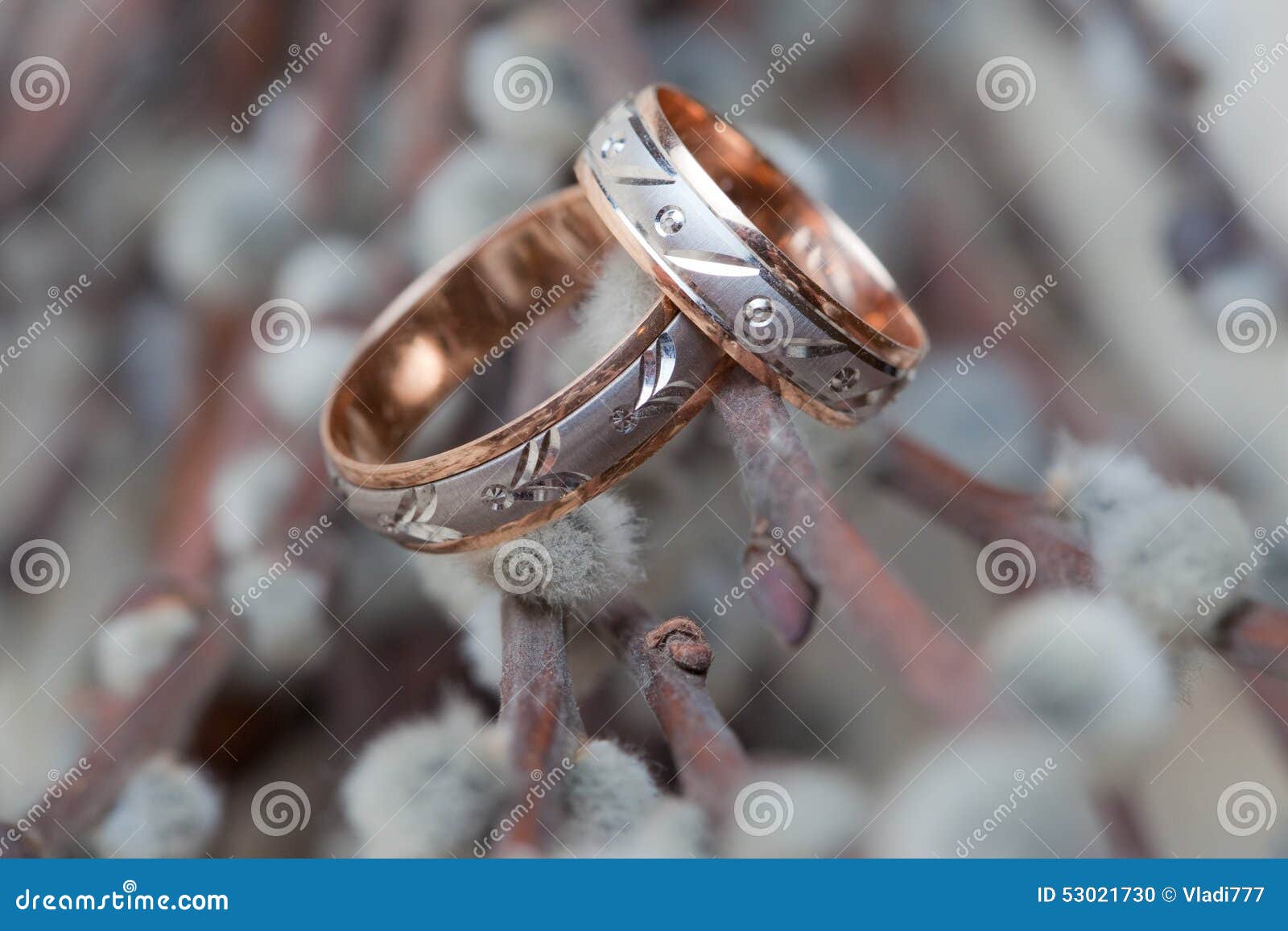 Wedding Rings on the Willow Branch Stock Photo - Image of pendant ...
