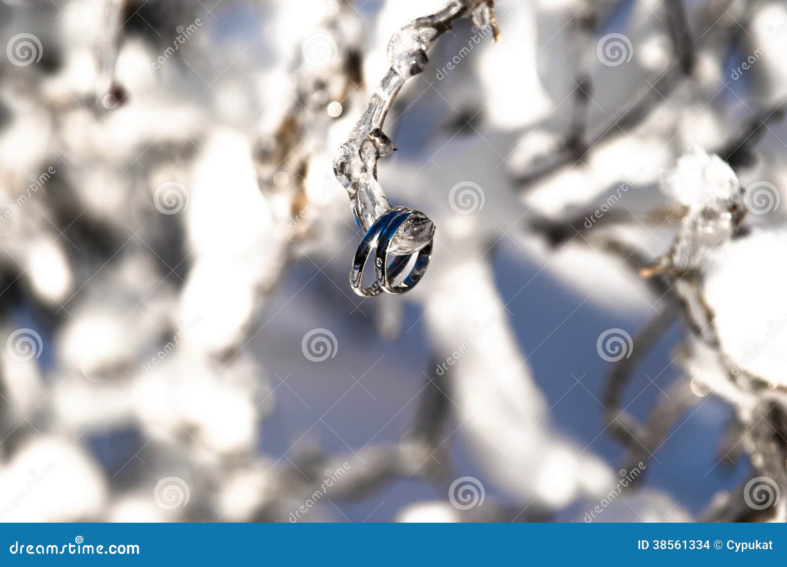 Wedding rings stock photo. Image of wedding, wife, ring - 38561334