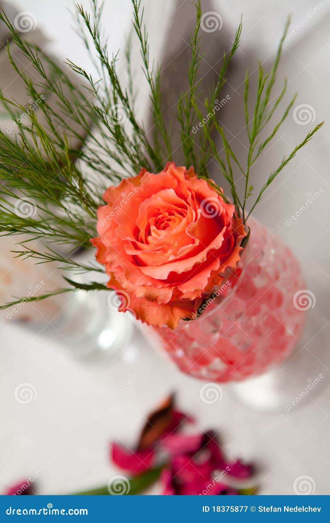 Wedding Rose Decoration on a Table Stock Image - Image of rose ...