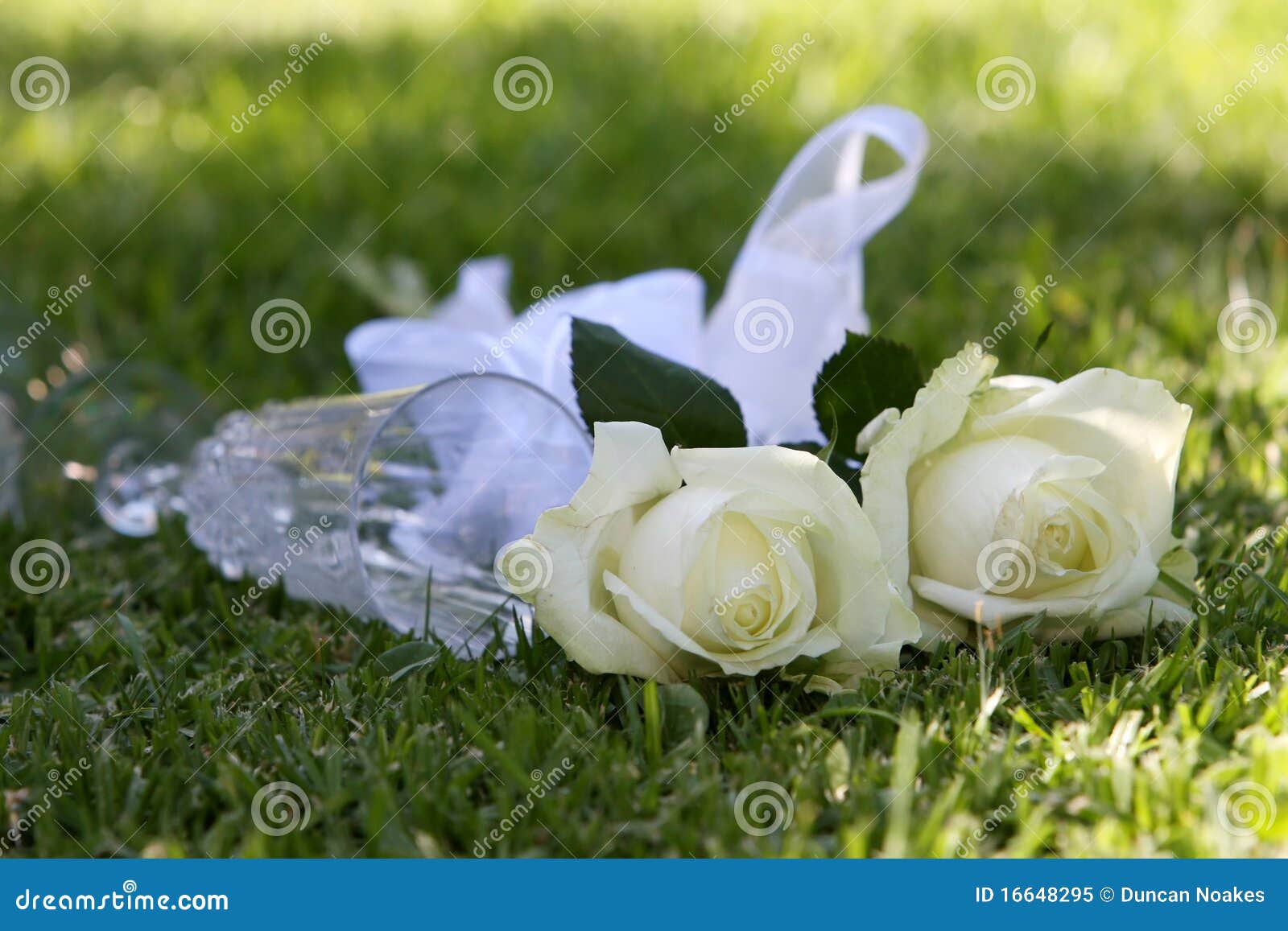 Wedding Roses stock image. Image of fresh, pretty, macro - 16648295
