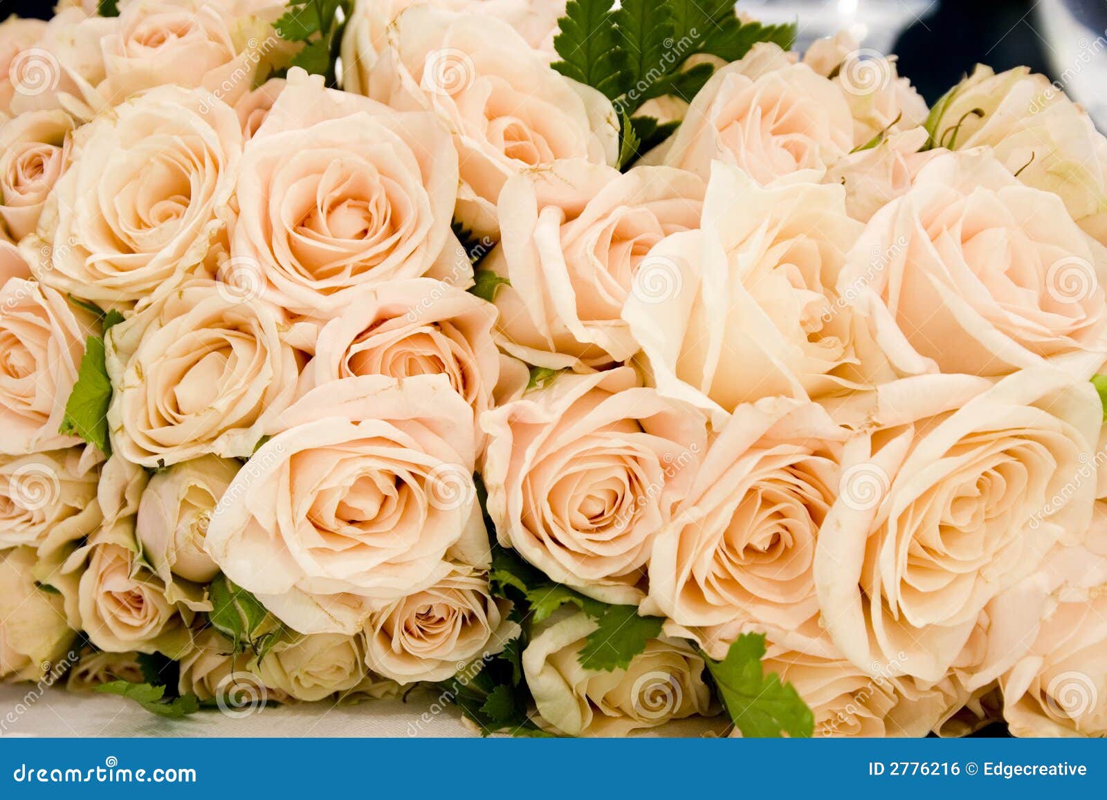 Wedding Roses stock photo. Image of boquet, group, love - 2776216
