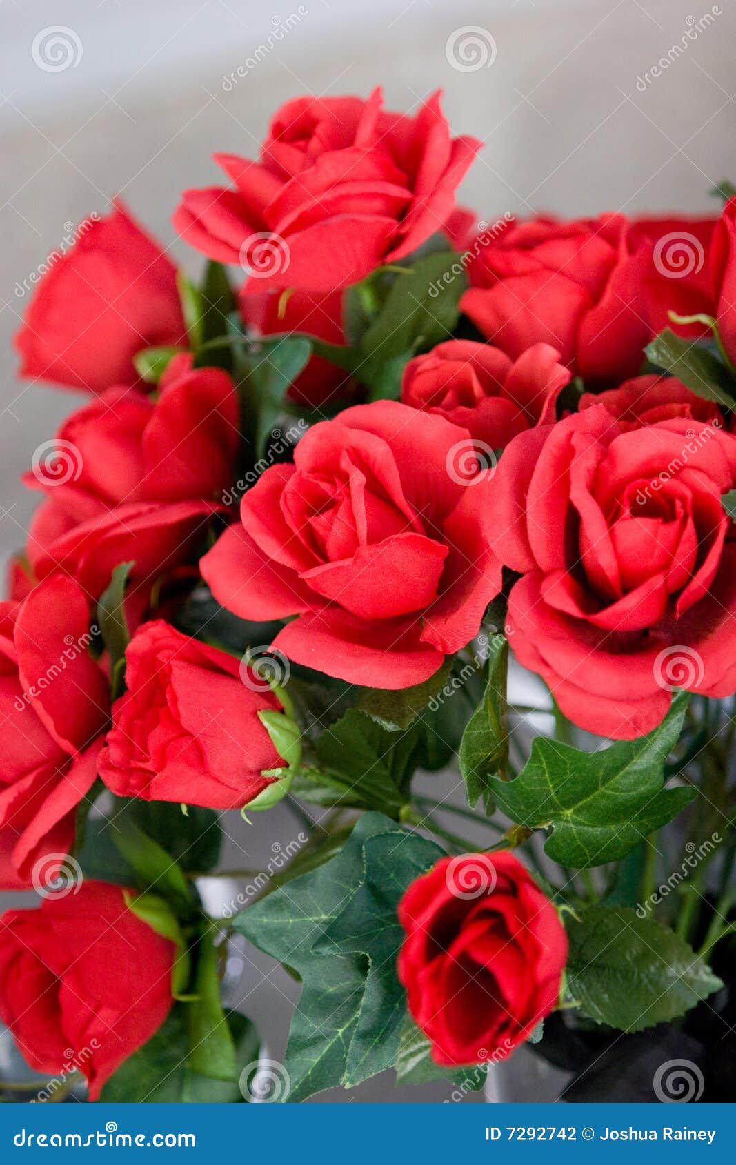 Wedding Roses stock photo. Image of plants, green, ceremony - 7292742