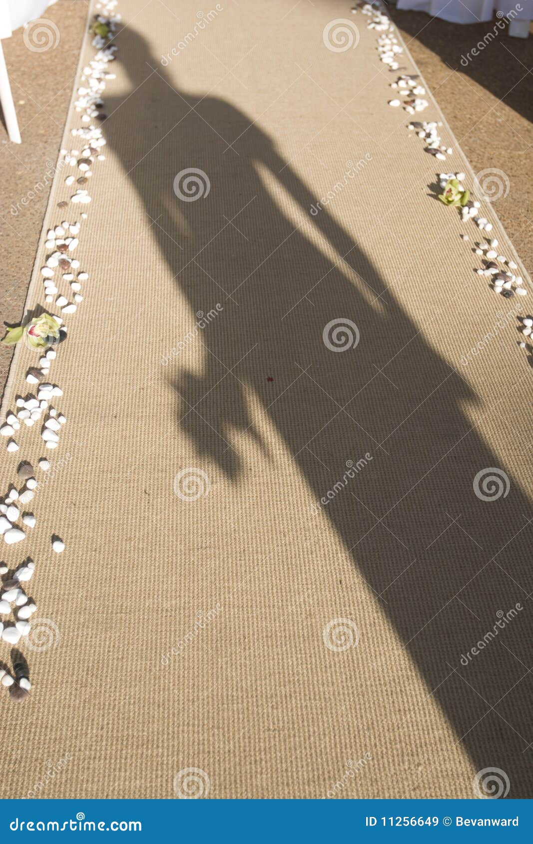 Wedding shadow stock image. Image of woman, love, shade - 11256649