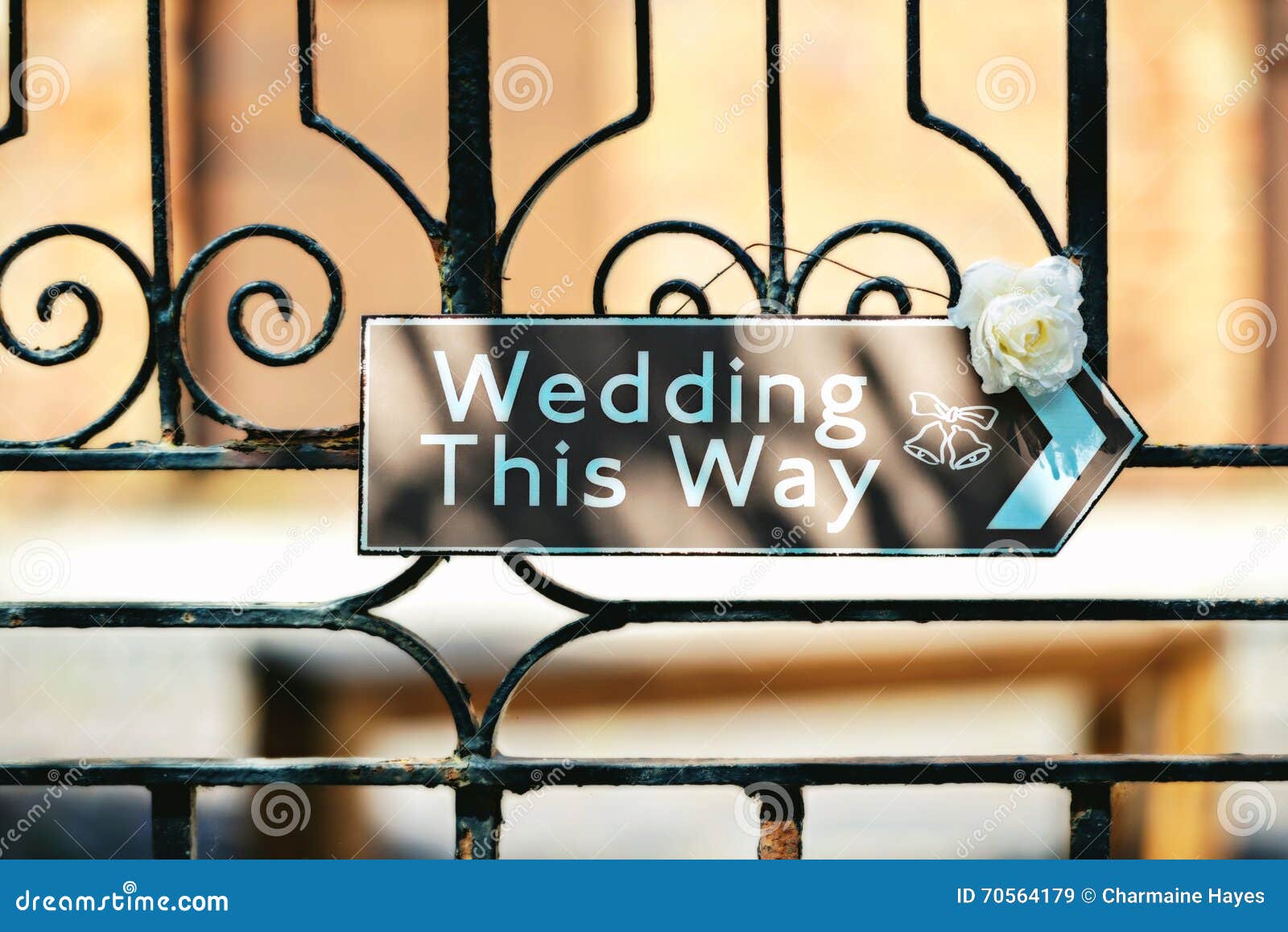Wedding sign stock image. Image of sign, bride, reception - 70564179