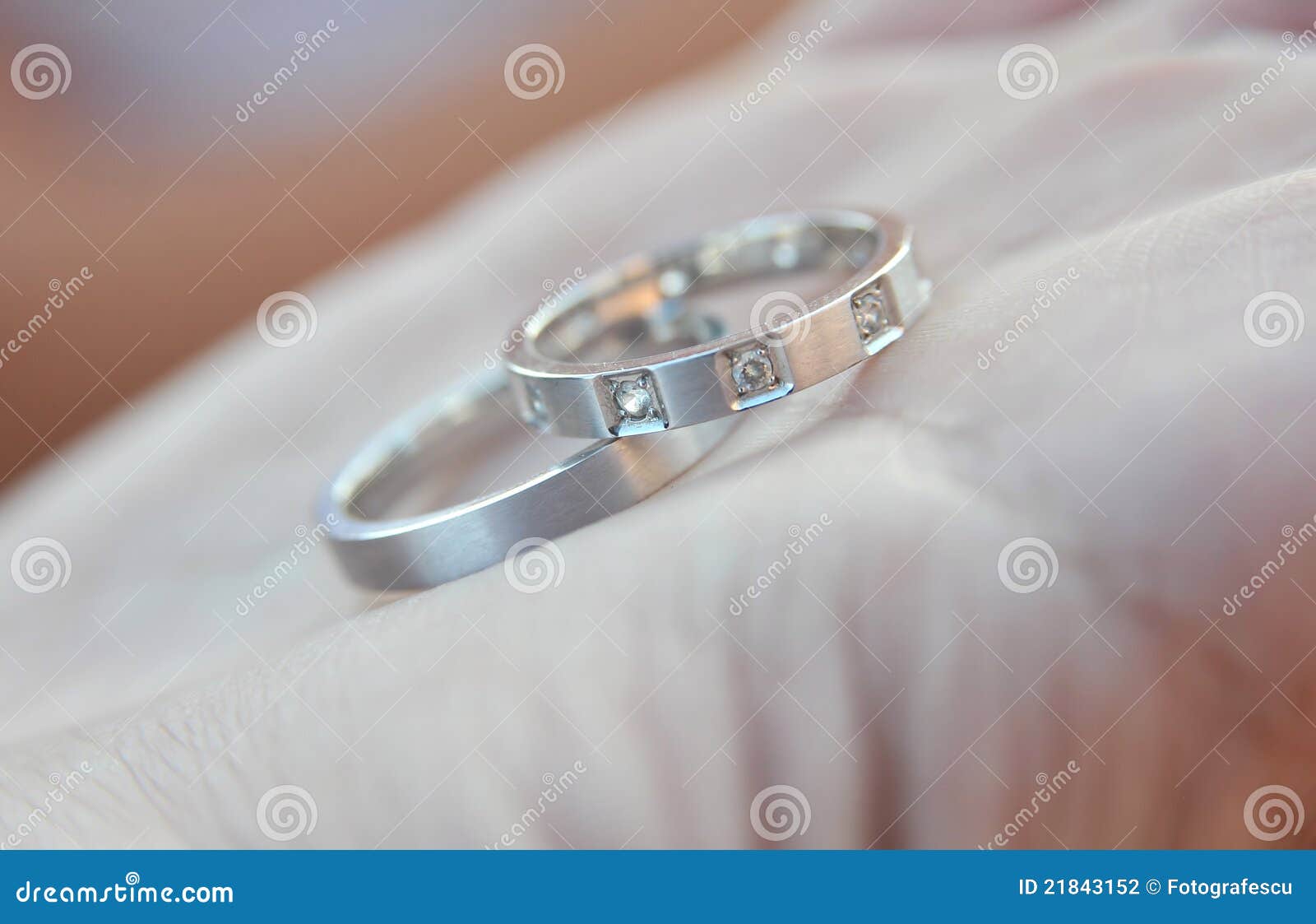 Wedding silver rings stock photo. Image of happiness - 21843152