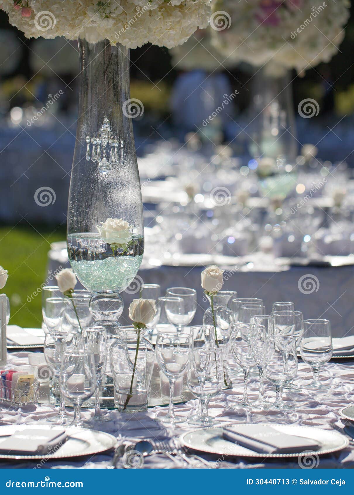 Wedding table decor stock image. Image of business, ceremony - 30440713