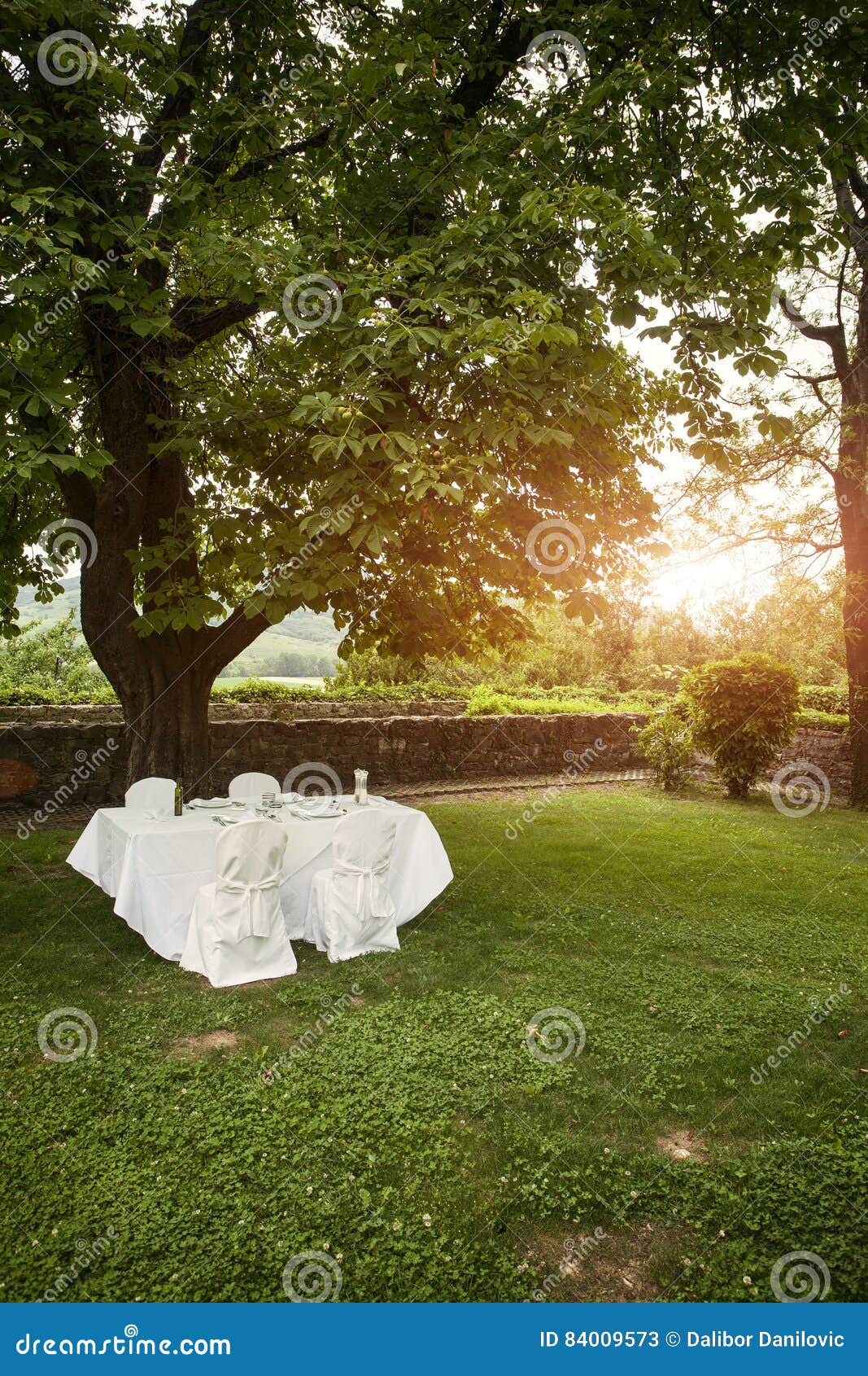Wedding Table Under the Tree Stock Image - Image of outdoors, sunshine ...