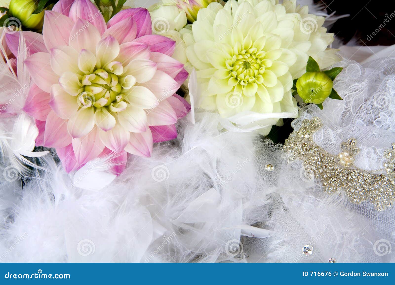 Wedding Textures stock photo. Image of marriage, feathers - 716676