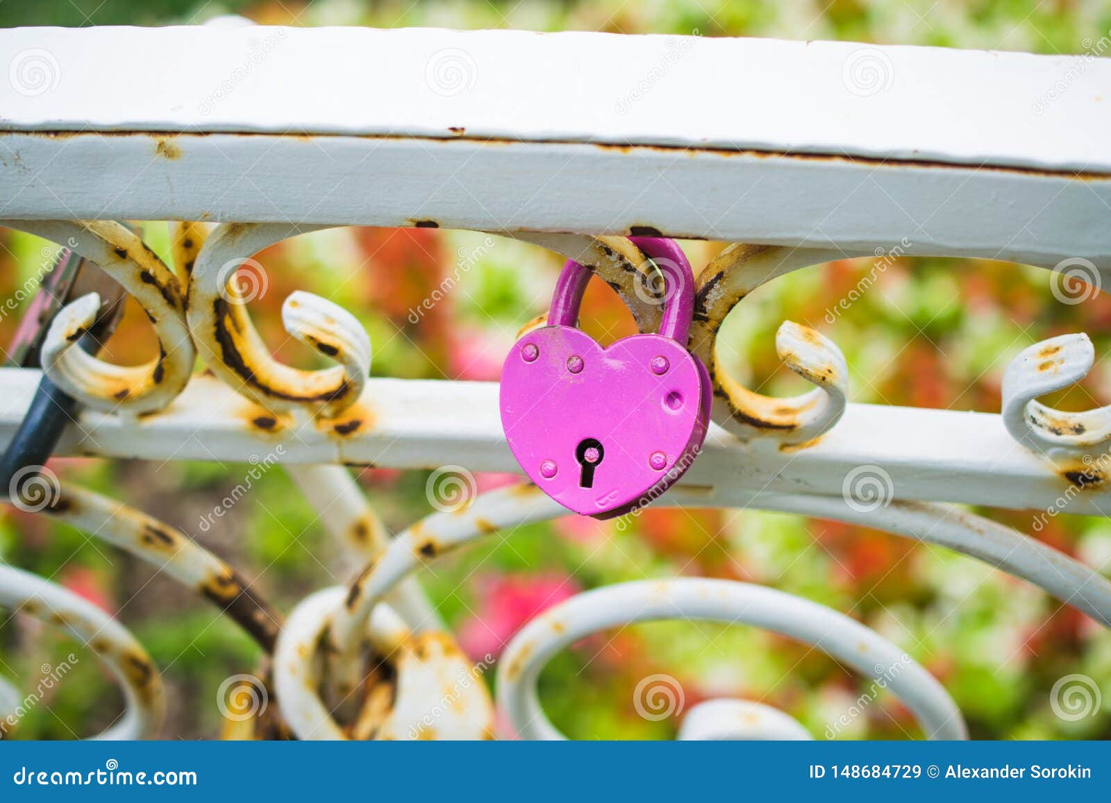 Wedding Tradition - Locks on the Bridge or Fence Stock Image - Image of ...