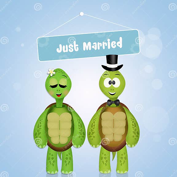 Wedding of turtles stock illustration. Illustration of funny - 92509075