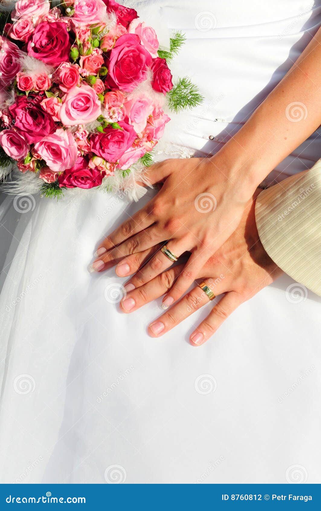 Wedding two hands stock photo. Image of girl, beautiful - 8760812