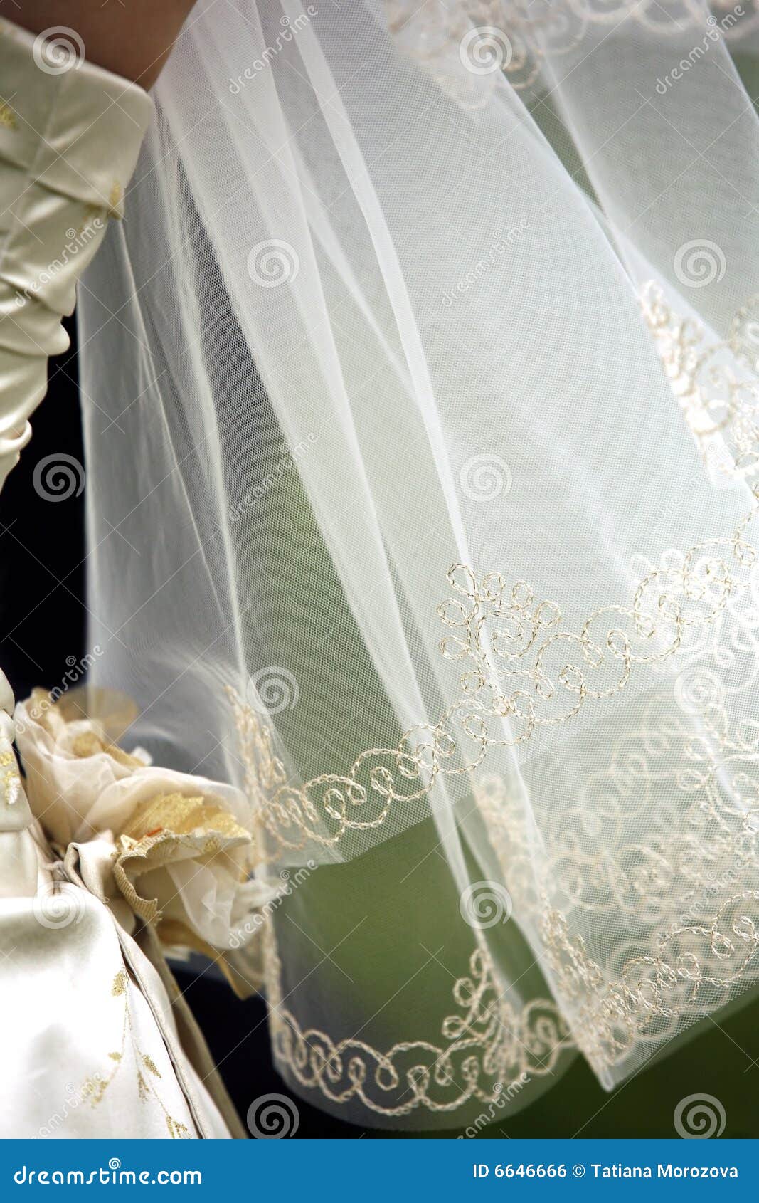 Wedding veil stock photo. Image of breeze, concept, bridal - 6646666