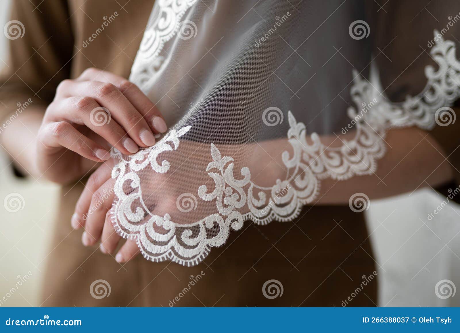 Wedding Veil Close-up of Embroidered Pattern on Hand Stock Image ...