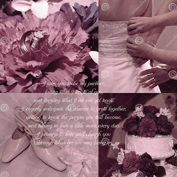Wedding Vows Background stock photo. Image of diamond, bridesmaid - 637174
