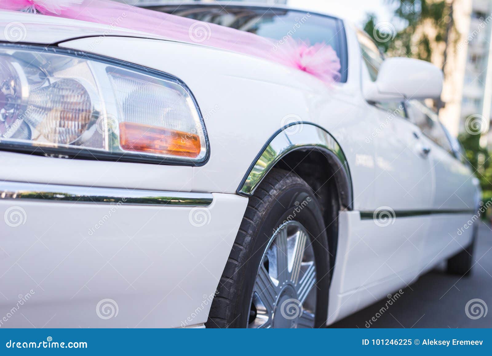 Wedding white limousine stock image. Image of floral - 101246225
