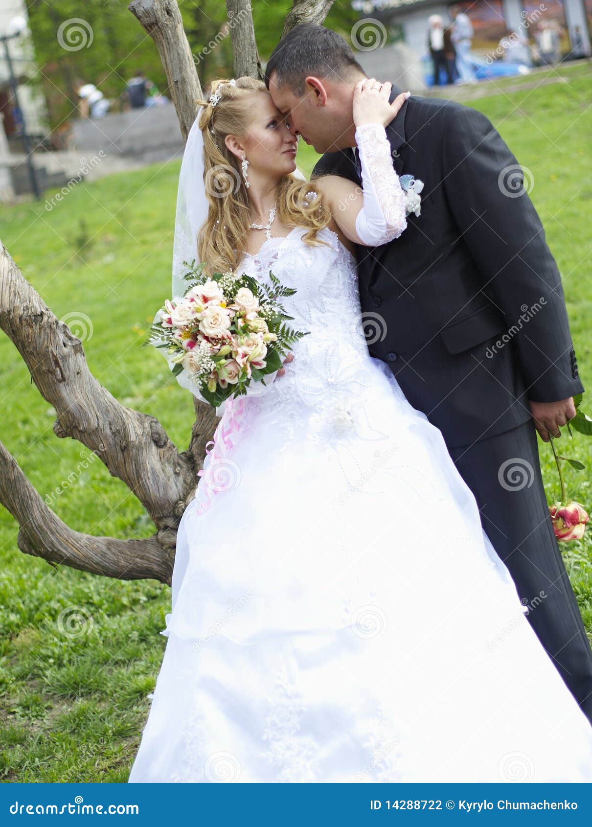 Wedding Wife and Husband stock photo. Image of gladness - 14288722