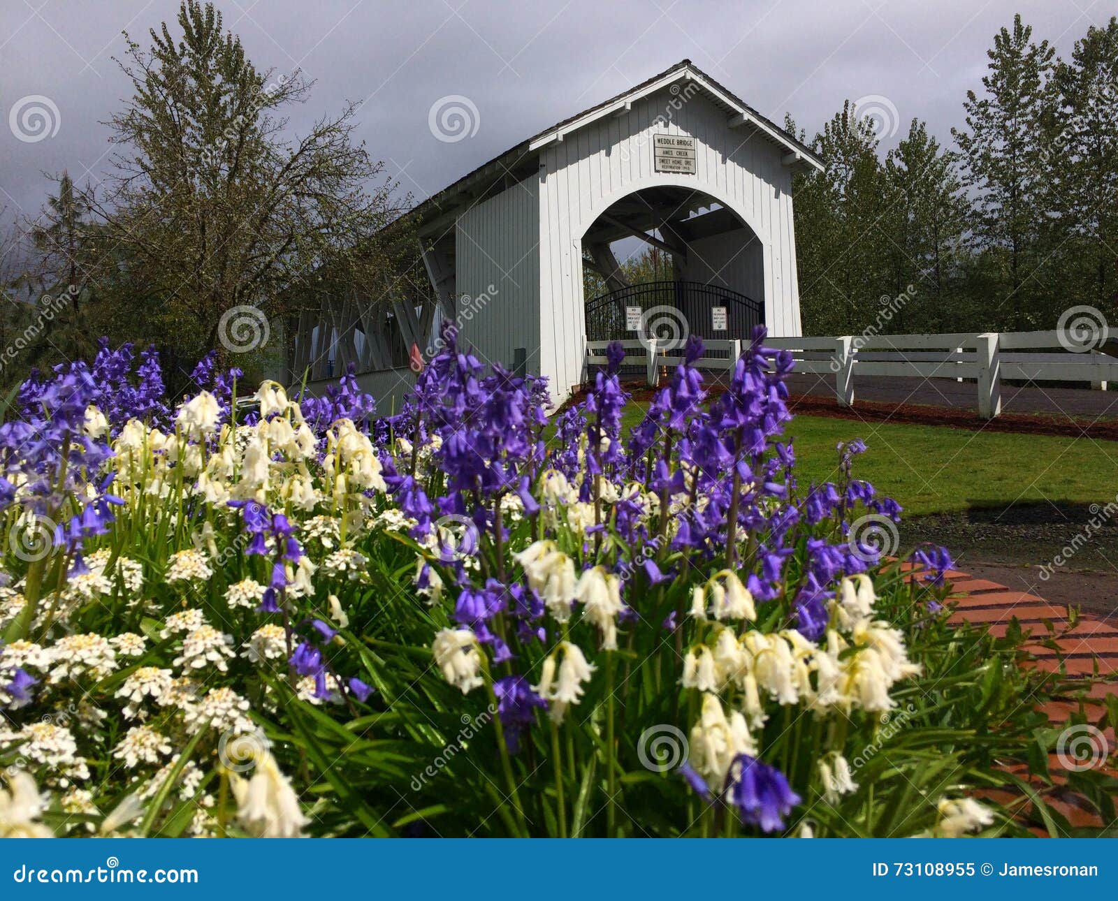 Weddle Covered Bridge, Oregon, USA, Stock Image - Image of flowers ...