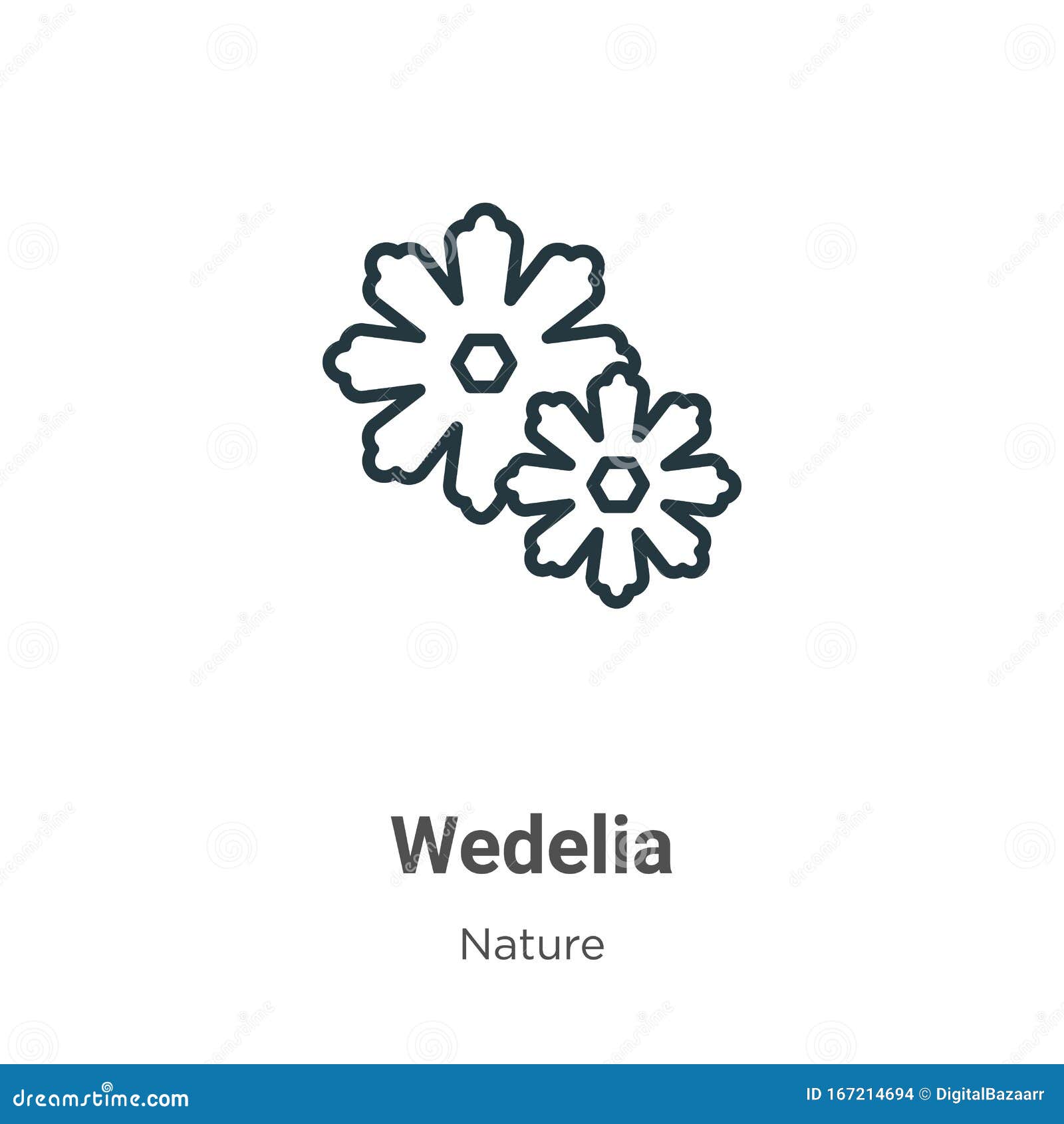 Wedelia Outline Vector Icon. Thin Line Black Wedelia Icon, Flat Vector ...