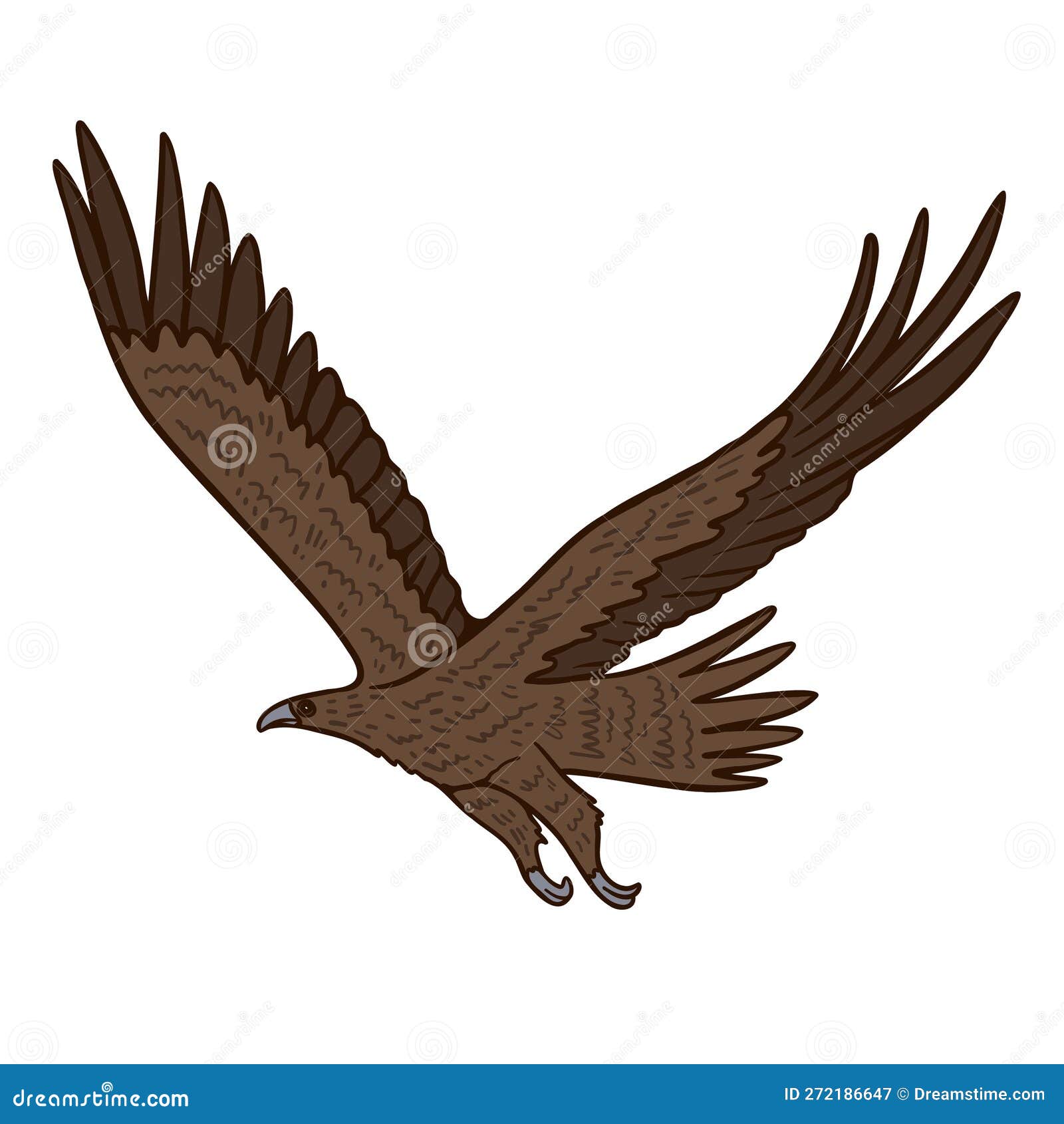 Wedge Tailed Eagle Aussie Predator Color Vector Character Stock Vector ...