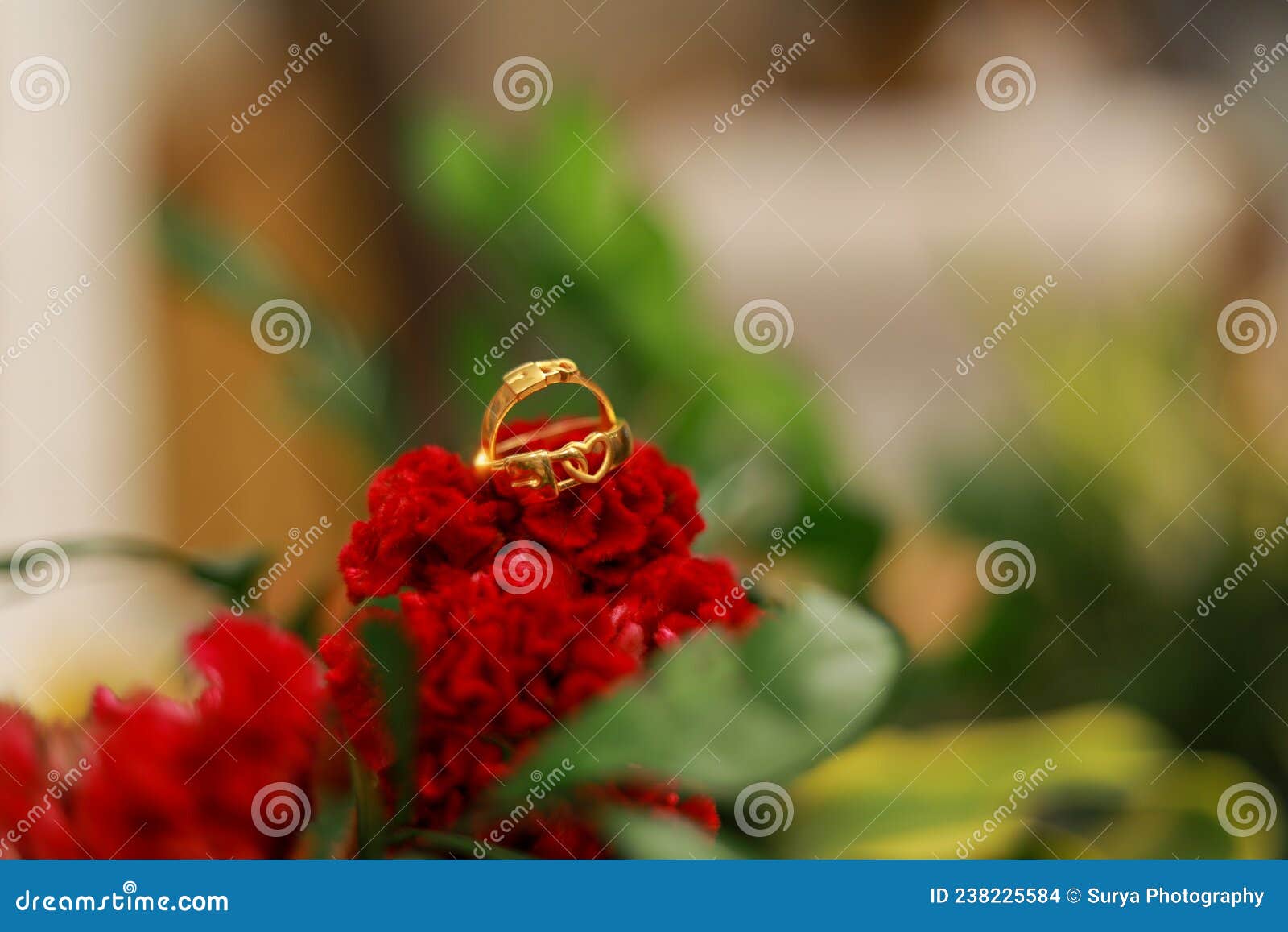Wedlock golden rings stock photo. Image of yellow, animal - 238225584