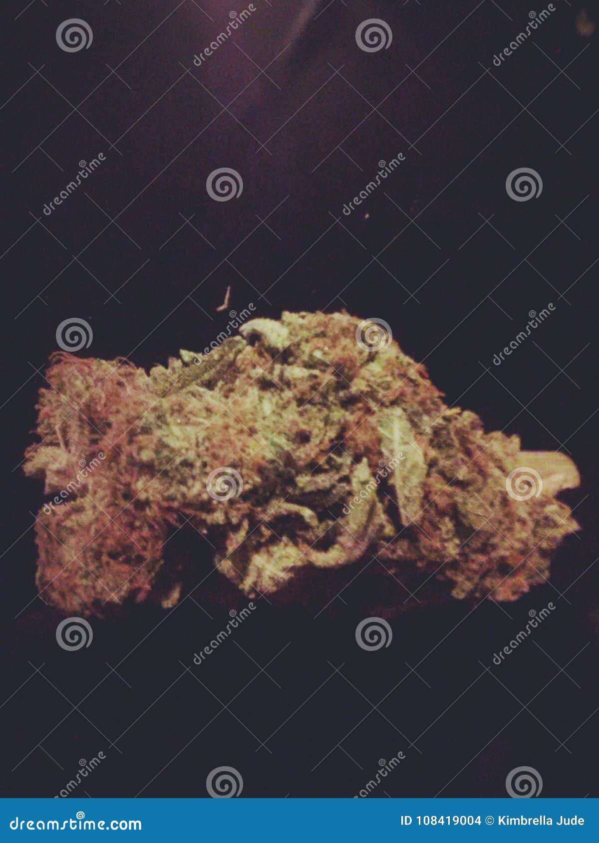 Weed stock photo. Image of weed, life, flying, high - 108419004