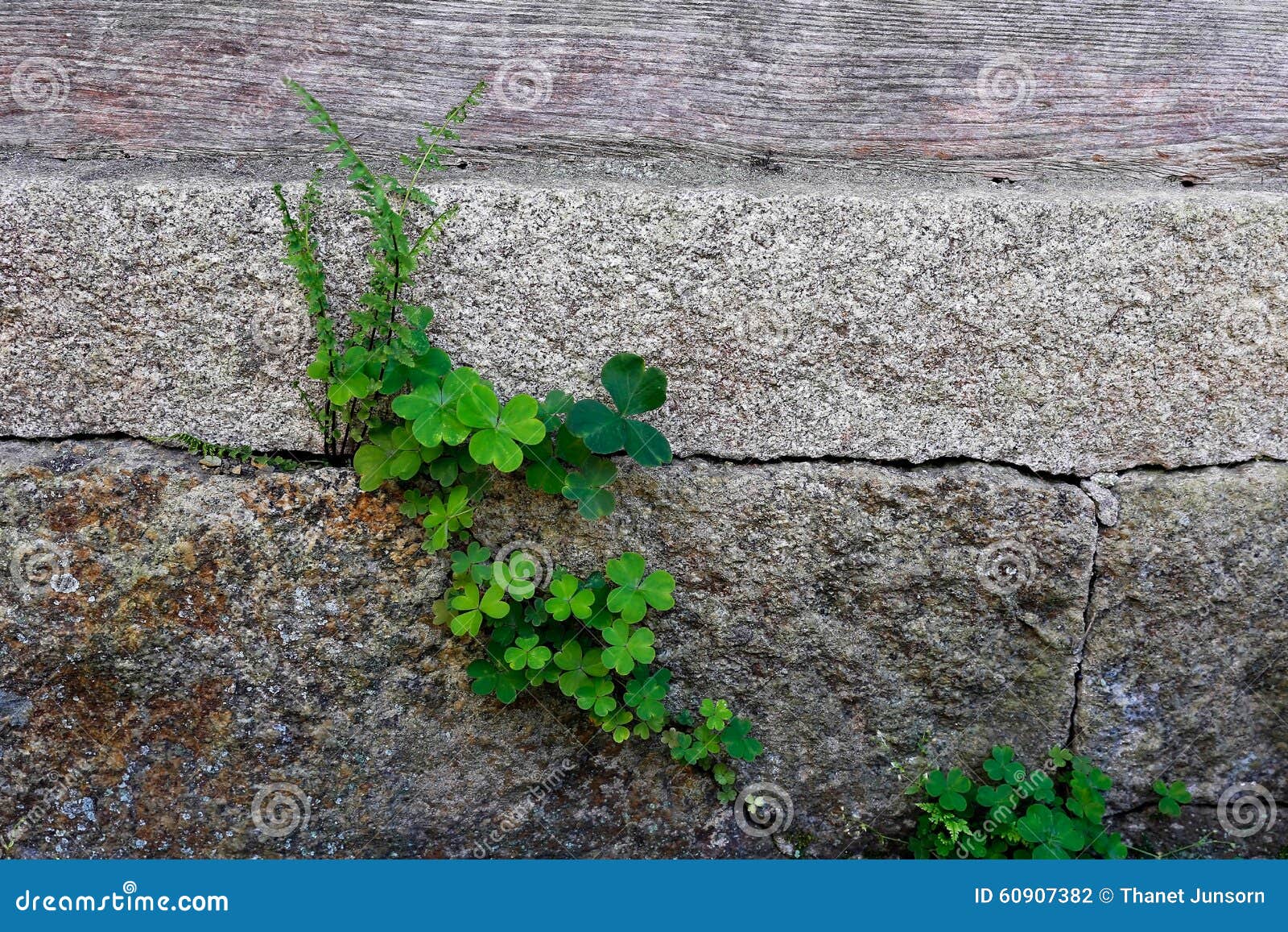 Broken Pathway Royalty-Free Stock Photo | CartoonDealer.com #32130129