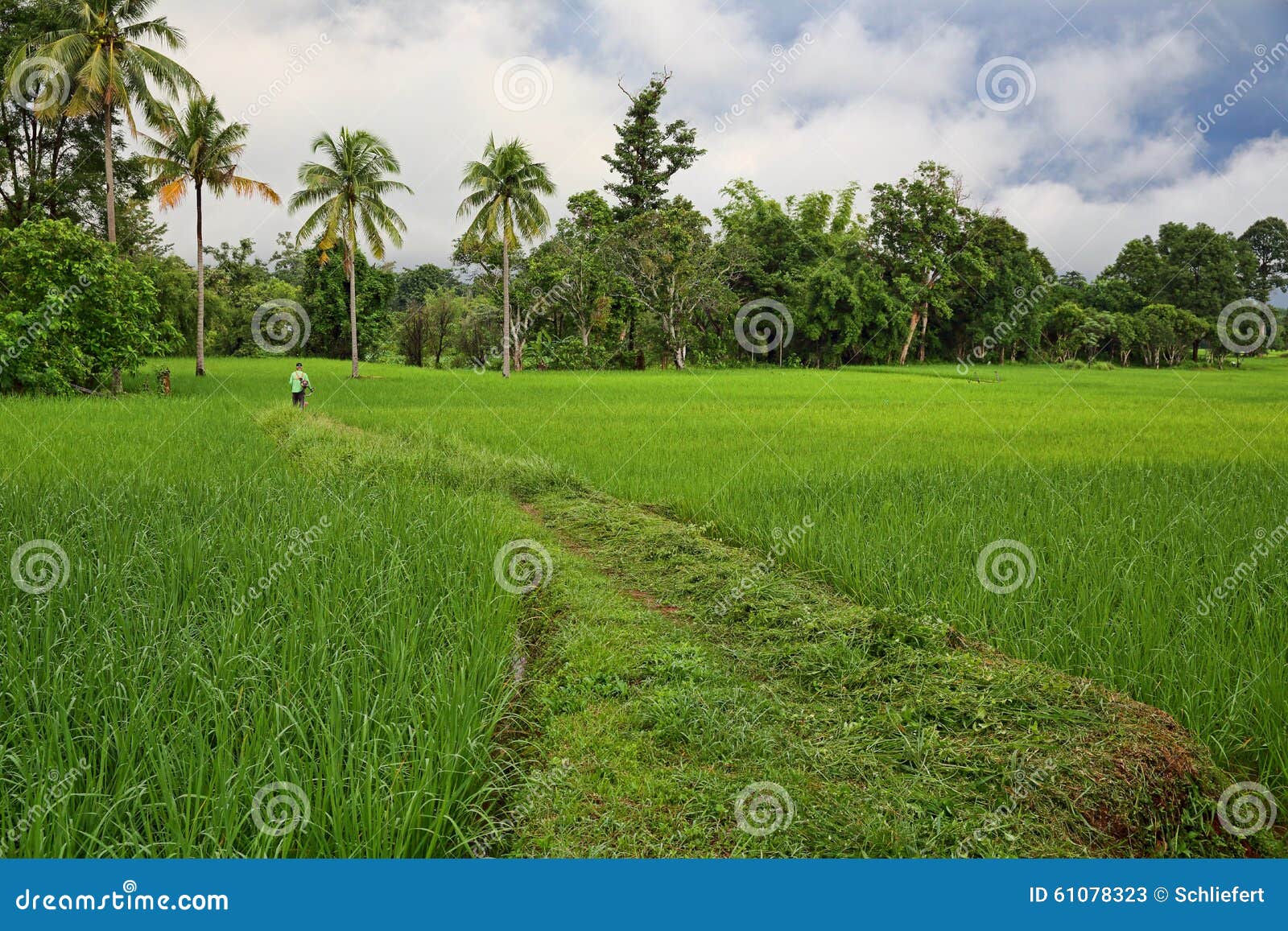 Weed Eater stock image. Image of worker, eating, eater - 61078323