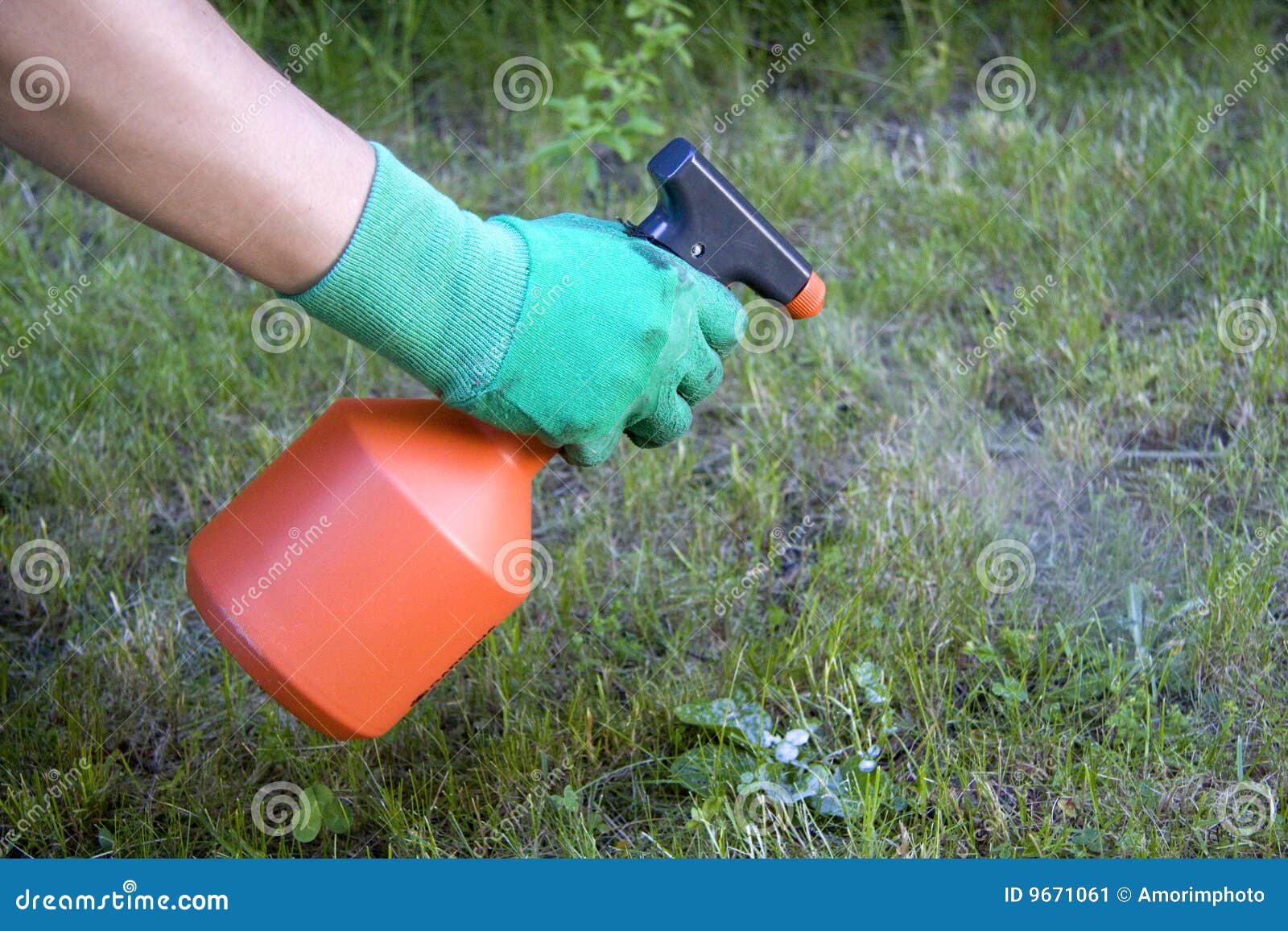 Weed spray stock image. Image of green, lawn, killer, spray - 9671061