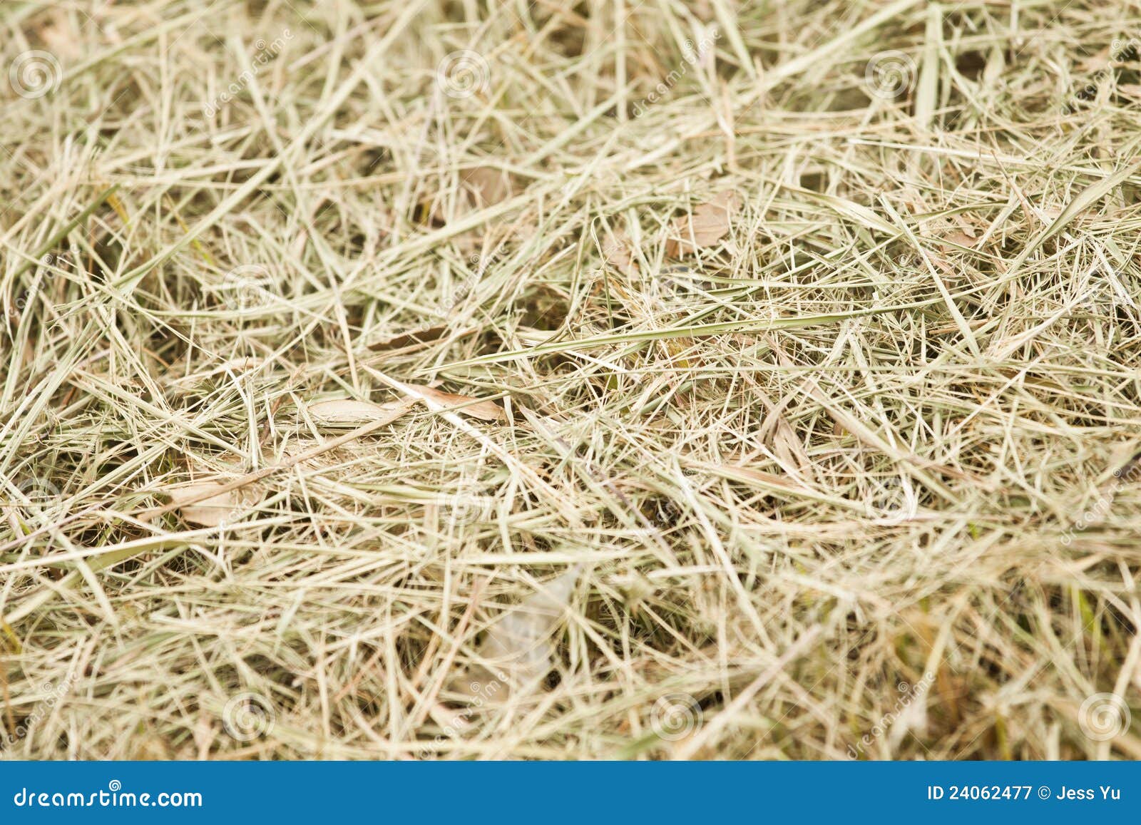 Weed texture on floor stock image. Image of graphic, abstract - 24062477