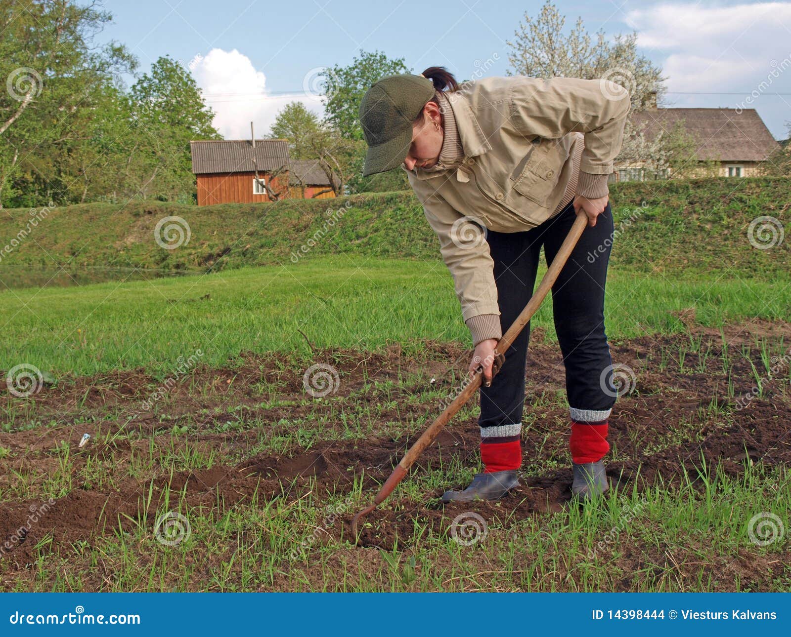 Weeder stock photo. Image of woman, work, hard, agriculture - 14398444