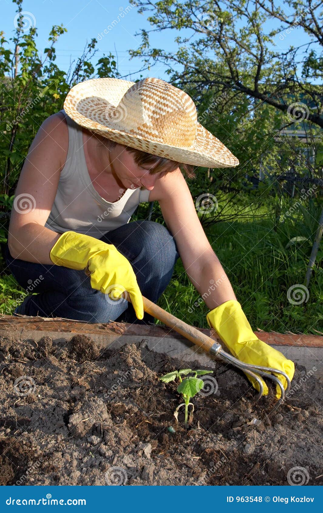 Weeding garden stock photo. Image of flowers, natural, green - 963548